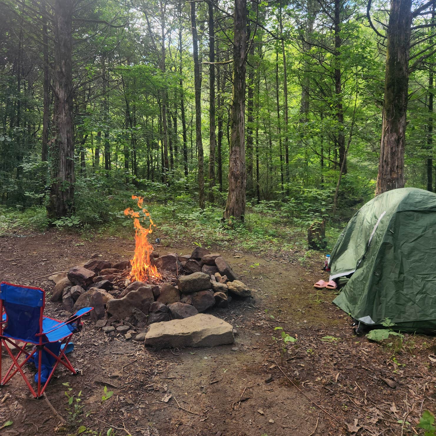 Dispersed Near Devils Den Camping | Chester, Arkansas