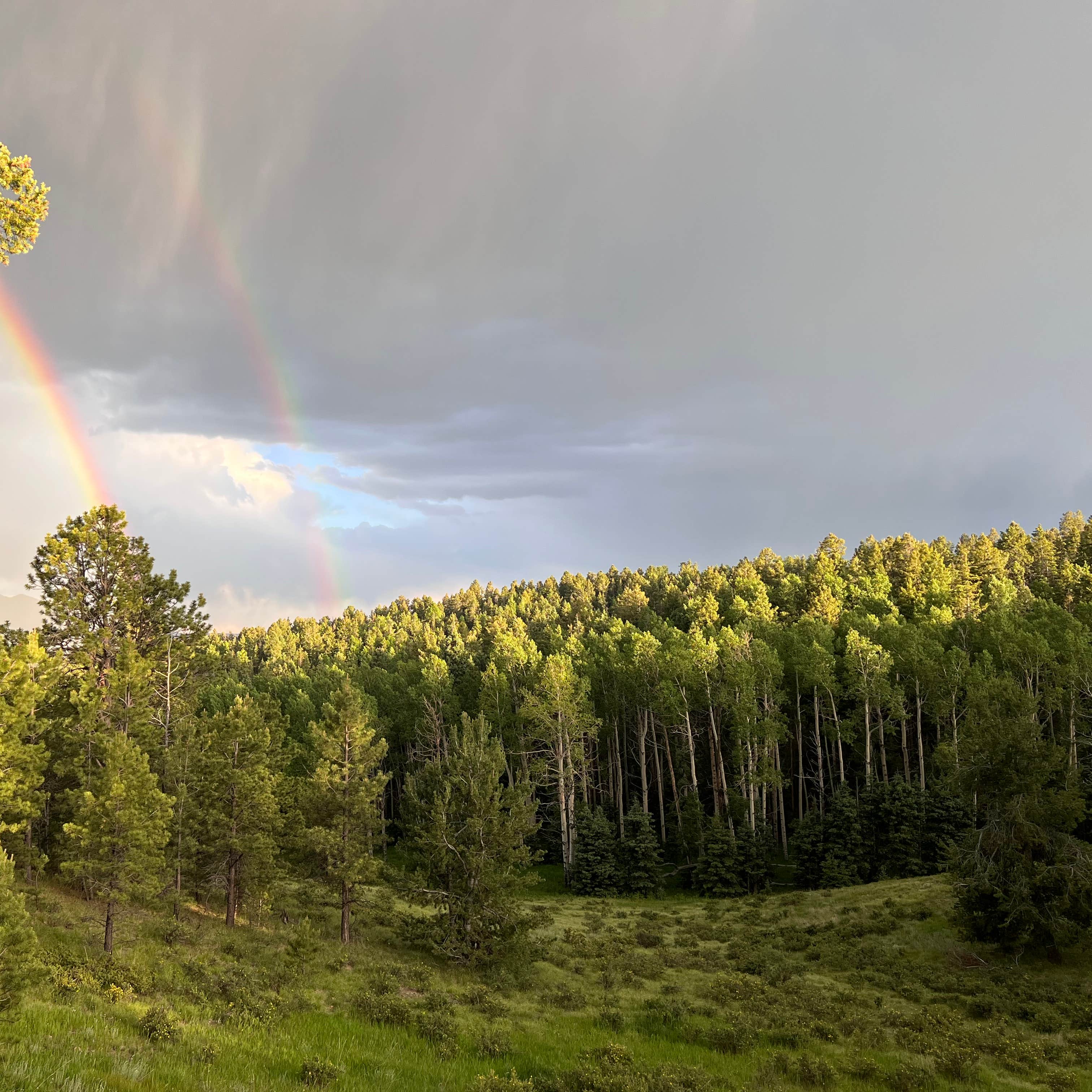 Mueller State Park Campground | Divide, Colorado