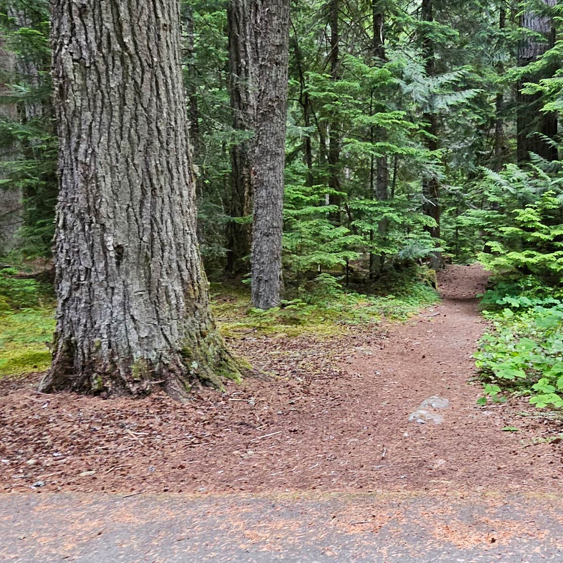 Silver Springs Campground | Greenwater, Washington