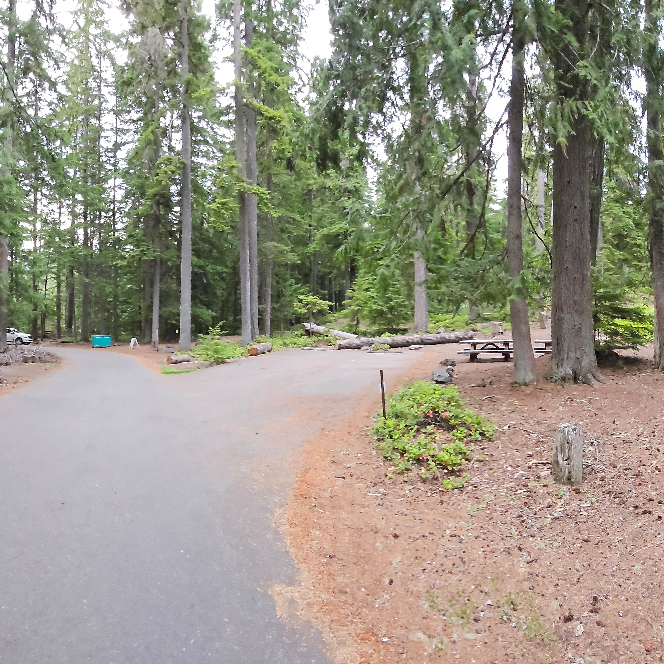Silver Springs Campground | Greenwater, Washington