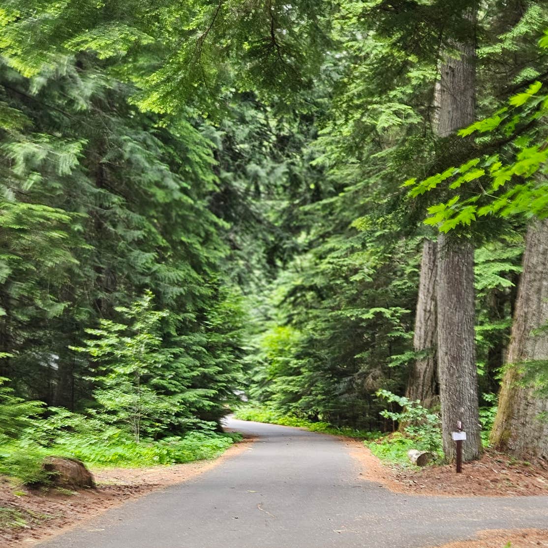 Silver Springs Campground | Greenwater, Washington