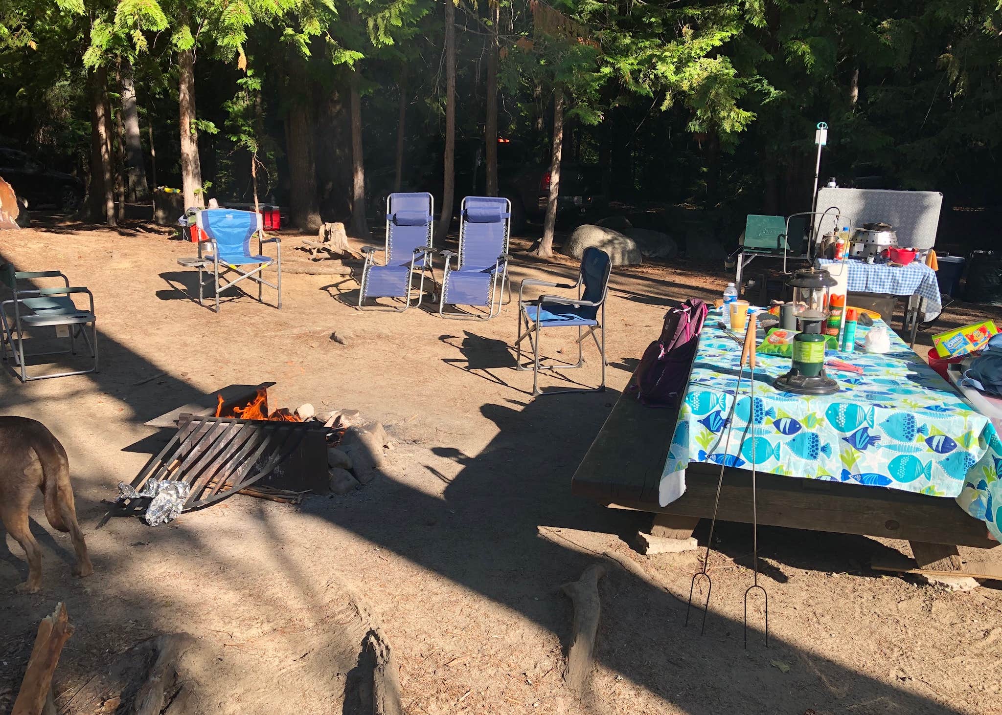 Rock Island Campground Camping | The Dyrt