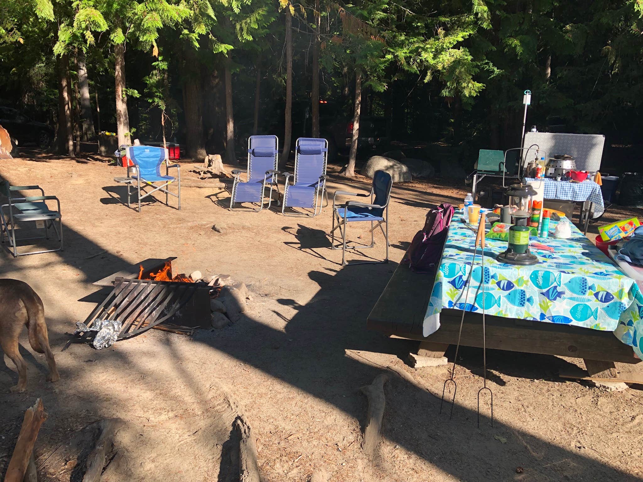 Rock Island Campground | Leavenworth, WA