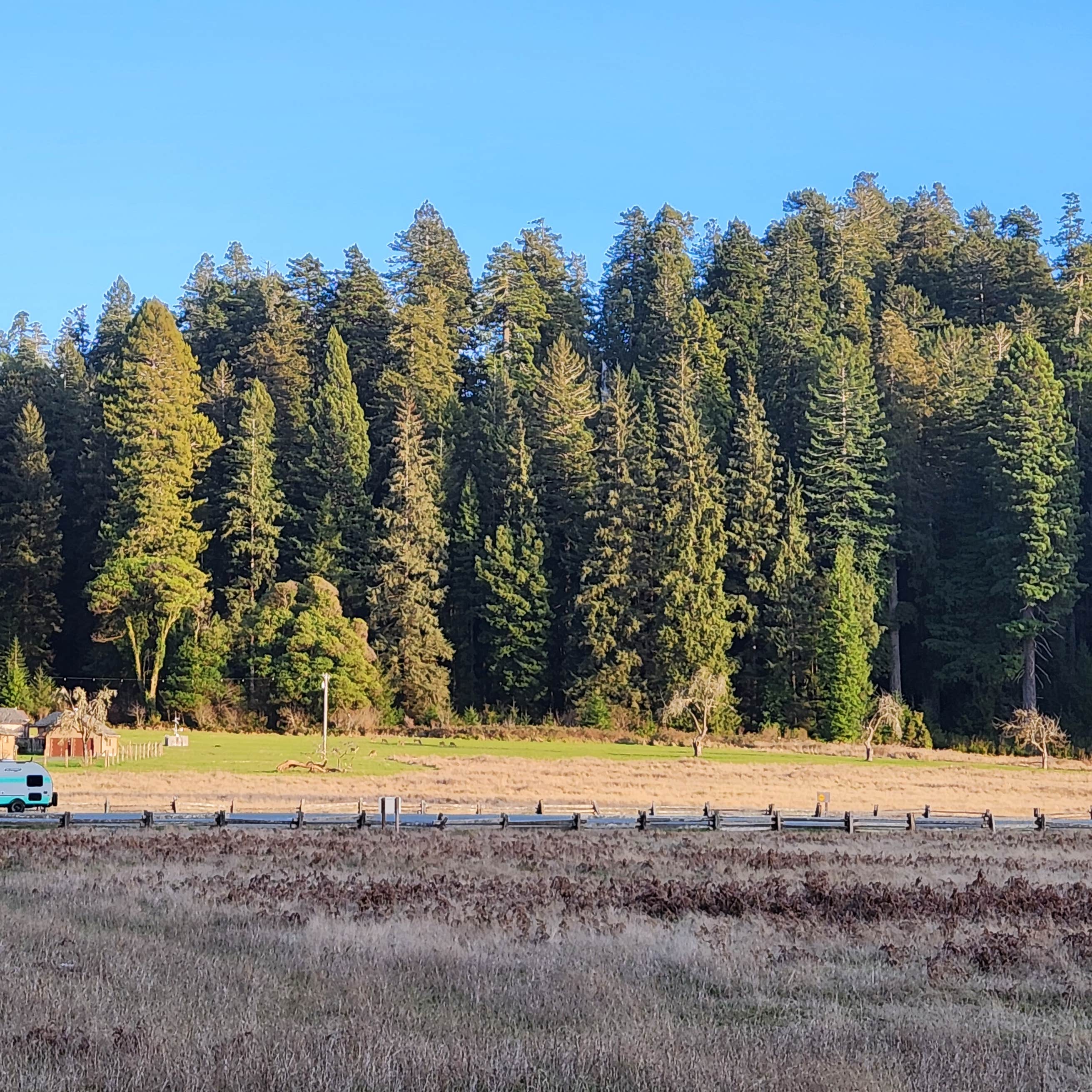 Elk Prairie Campground — Prairie Creek Redwoods State Park | Orick ...