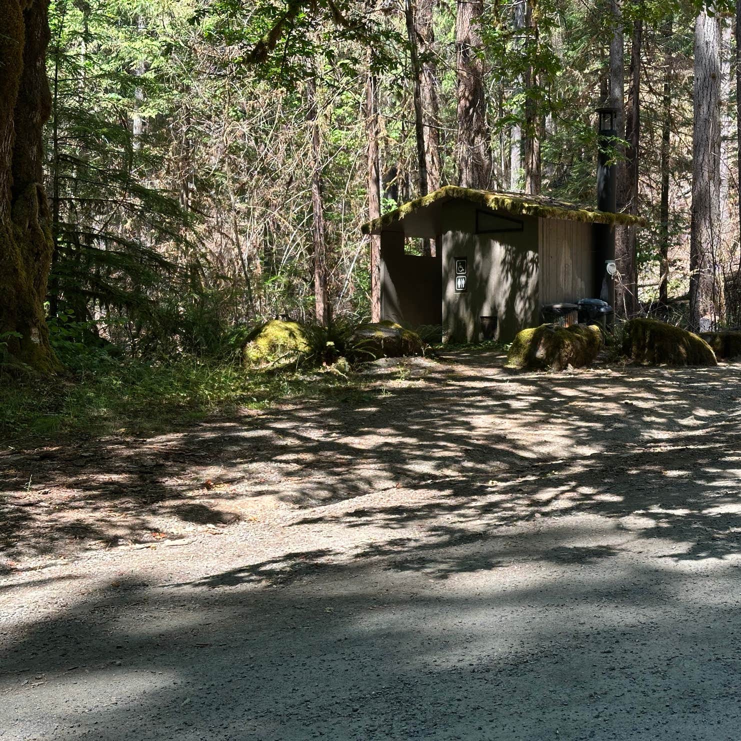 Mineral Forest Camp | Dorena, Oregon