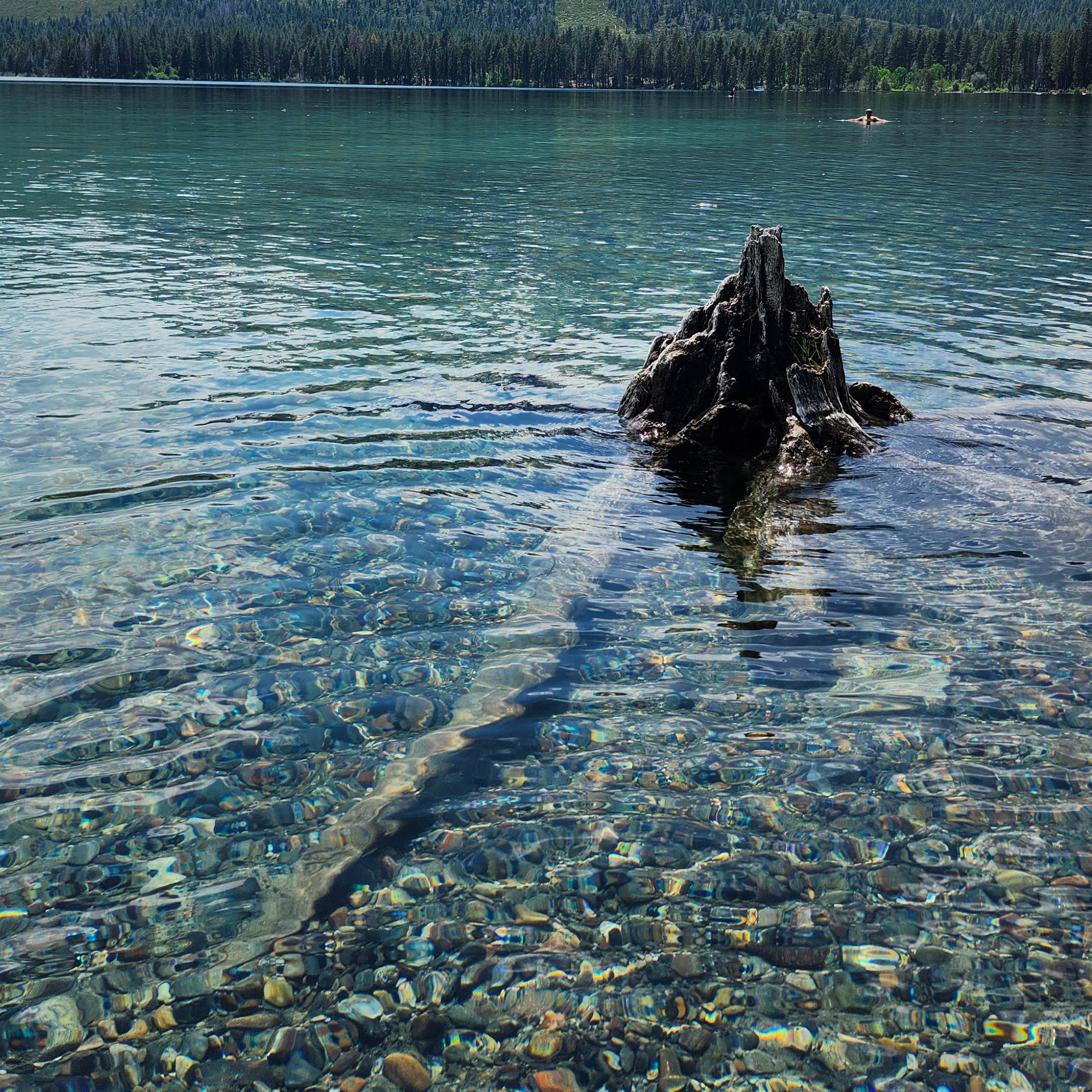 Fallen Leaf Campground - South Lake Tahoe | South Lake Tahoe, California