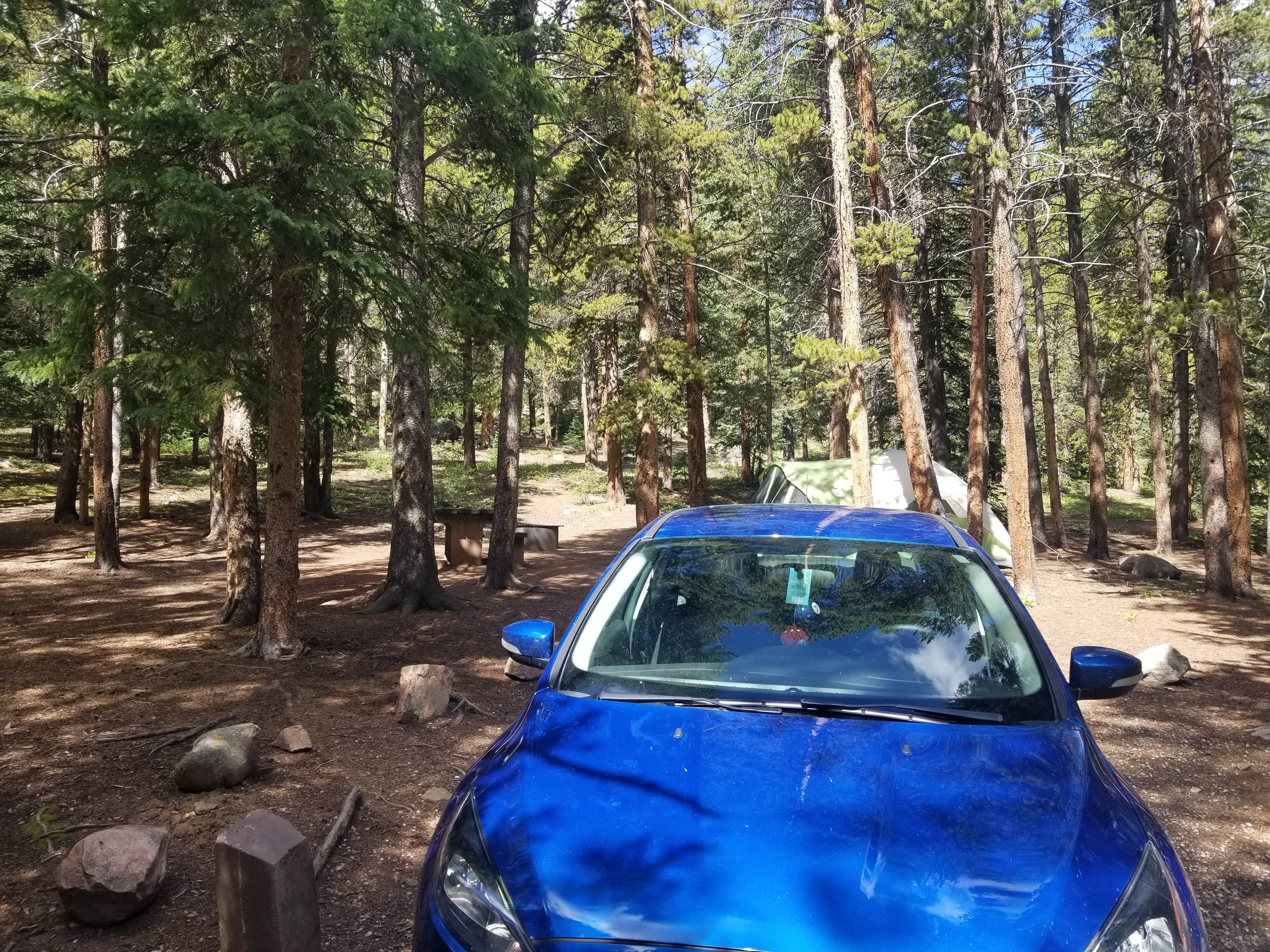 Weston Pass Campground | The Dyrt