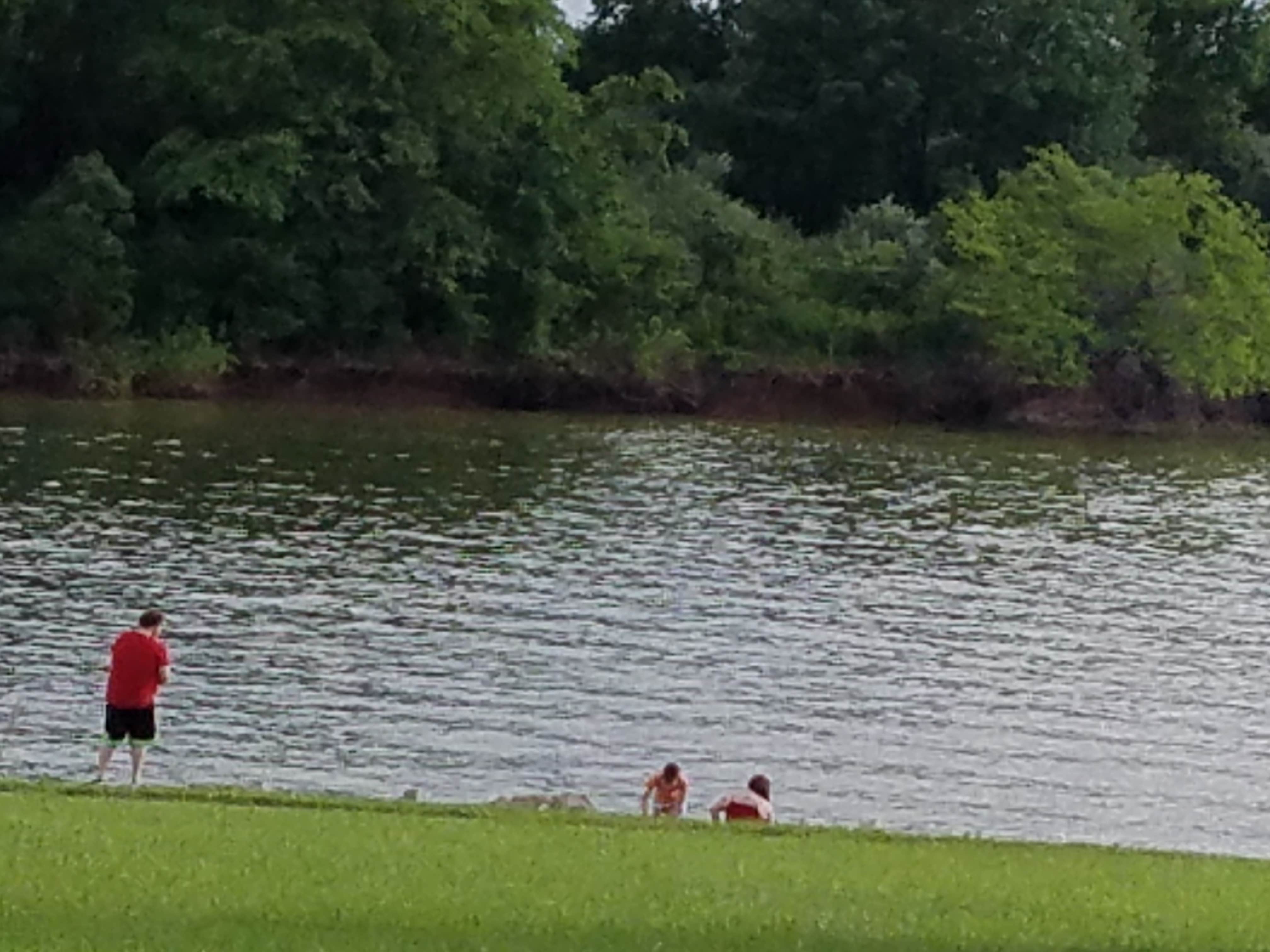 Escape To Tranquility: Your Guide To Missouri's Camp Branch State Park