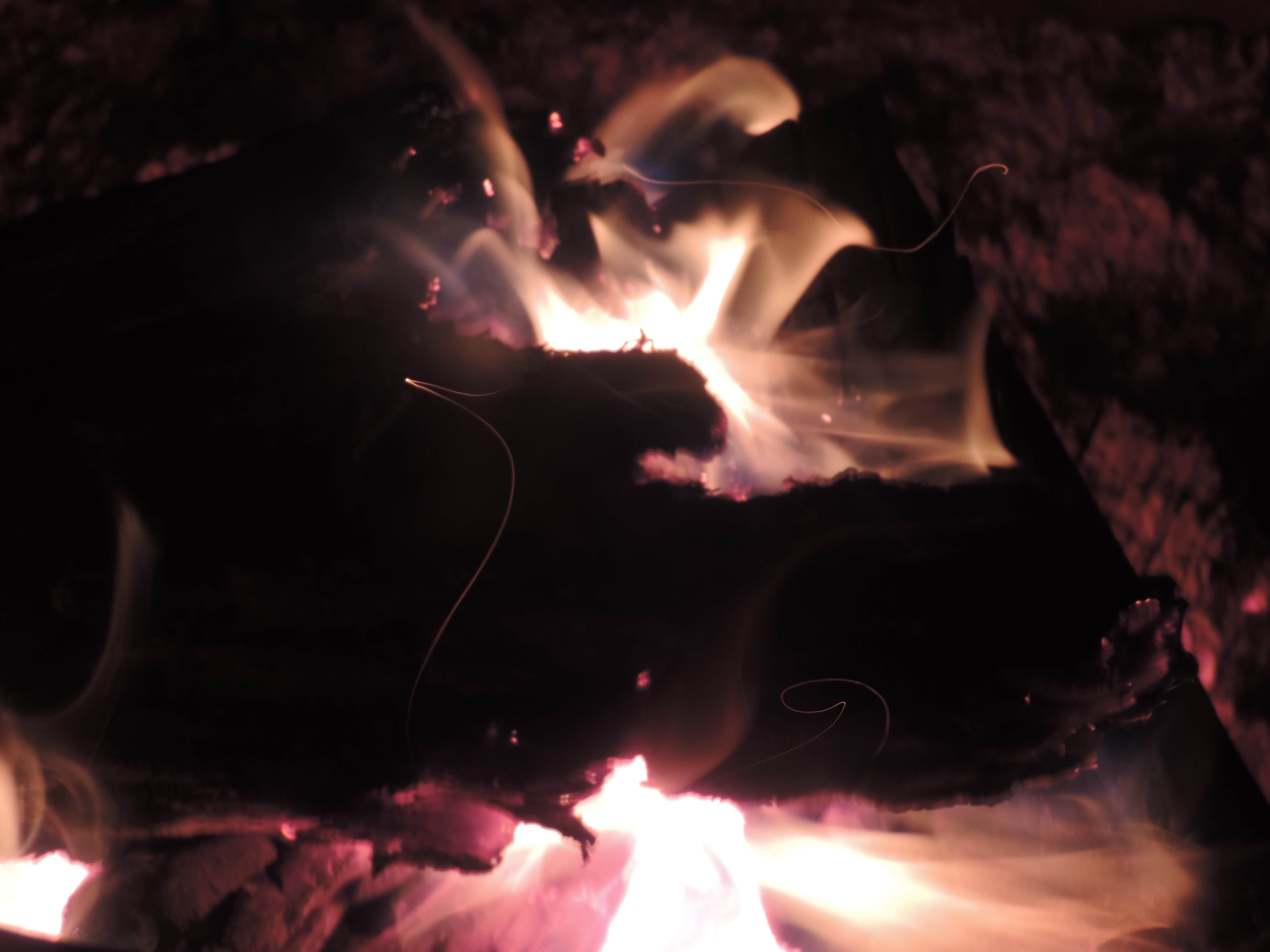 Cougar Rock Campground — Mount Rainier National Park | Longmire, WA