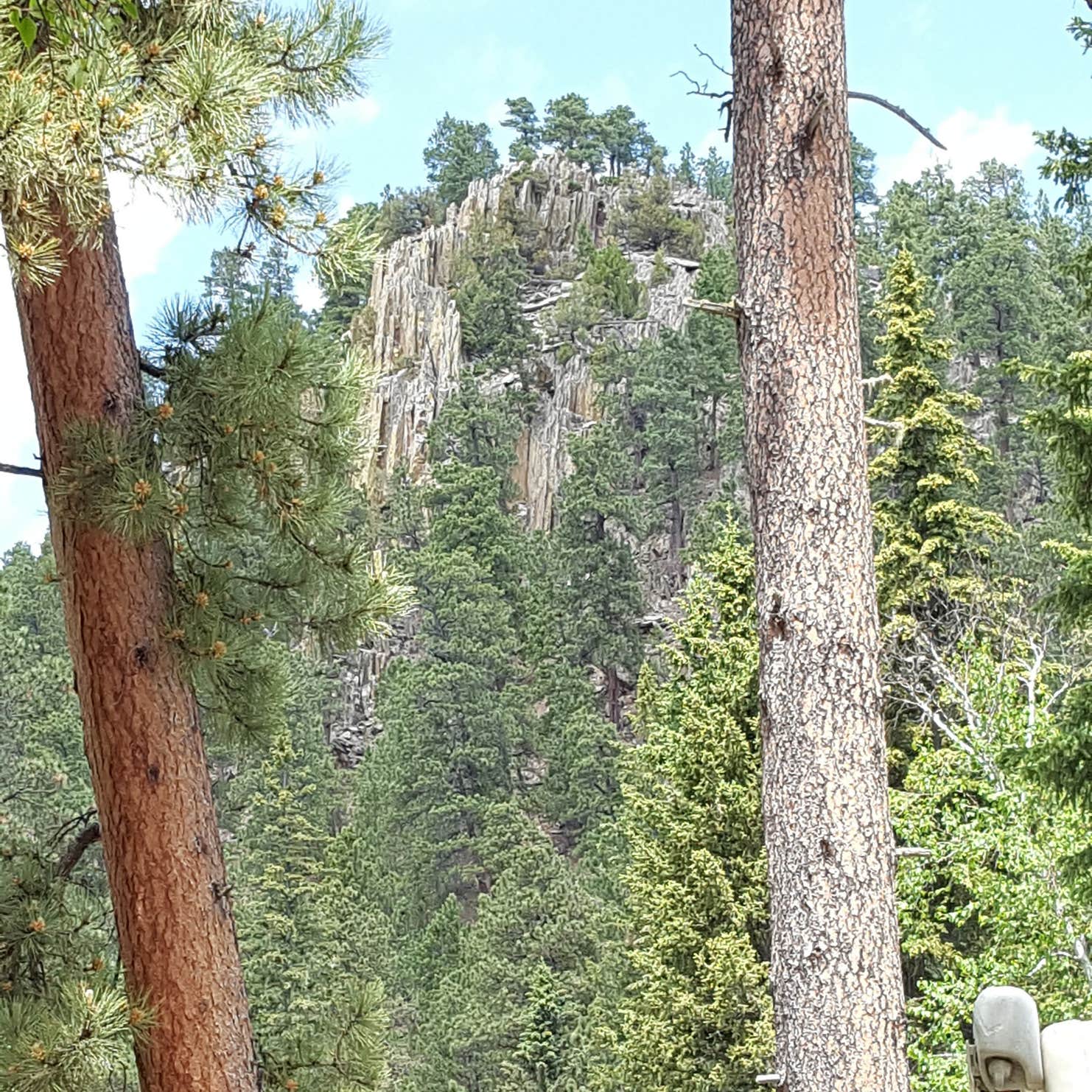 Boxelder Forks Campground — Black Hills National Forest | Nemo, South ...