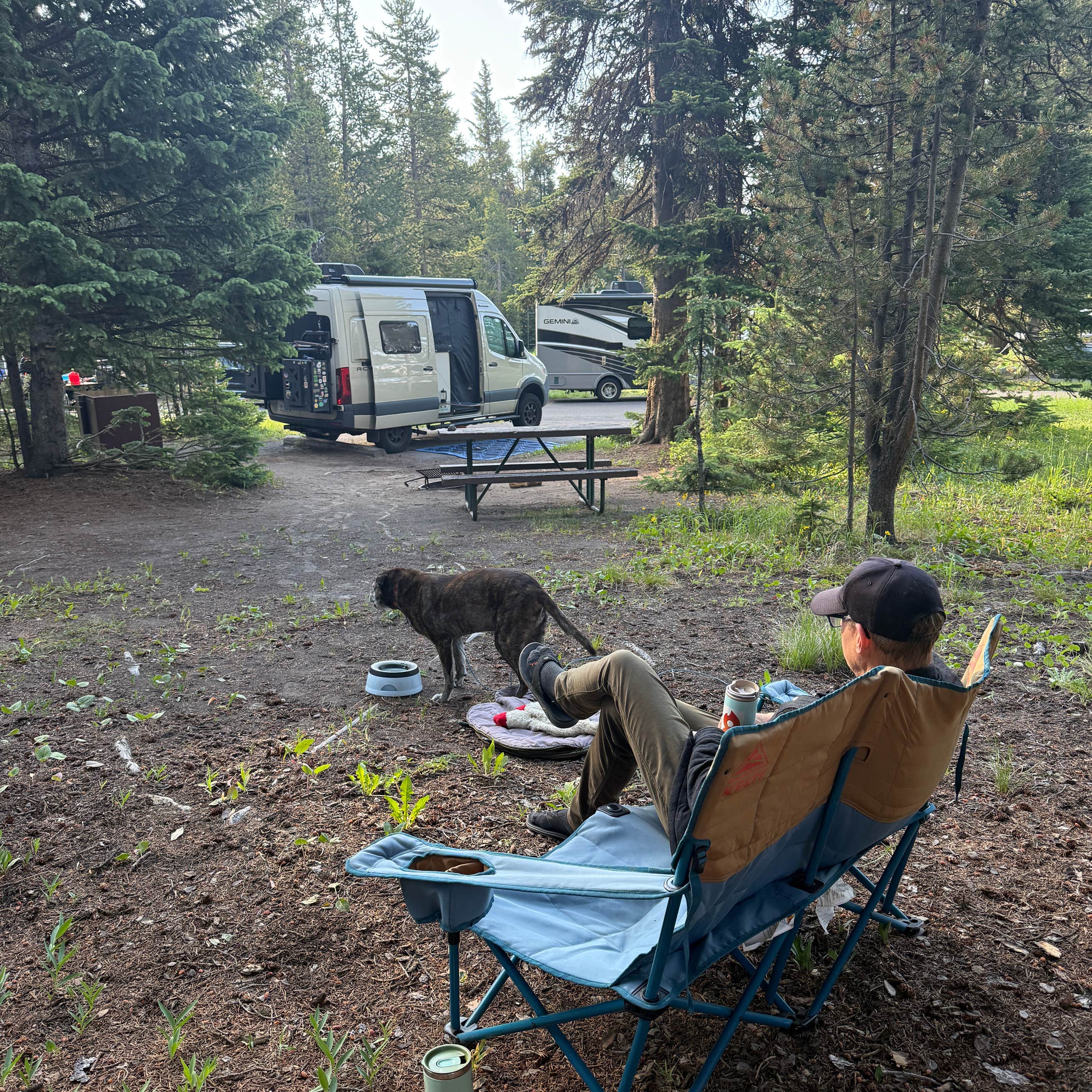Bridge Bay Campground — Yellowstone National Park | West Yellowstone ...