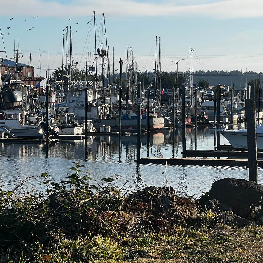 Harborview Inn and RV Park | Bay City, Oregon