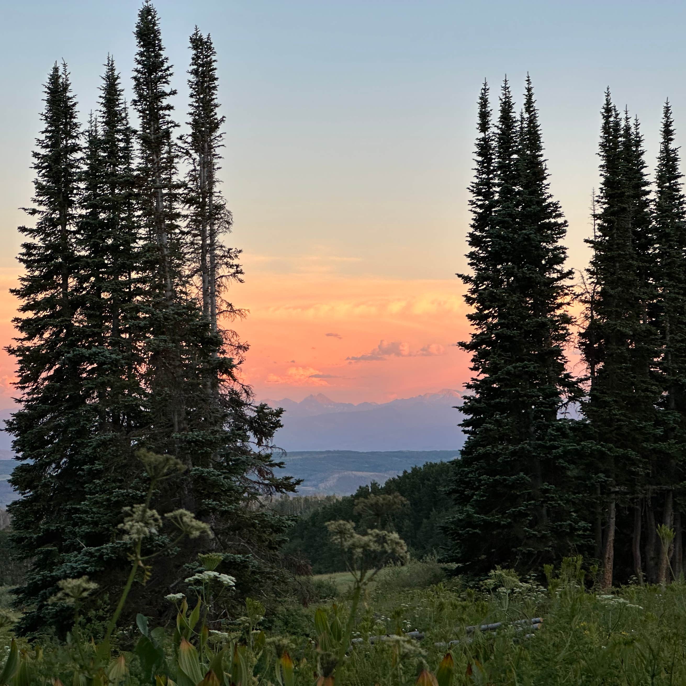 Coffee Pot Springs Campground | Glenwood Springs, Colorado