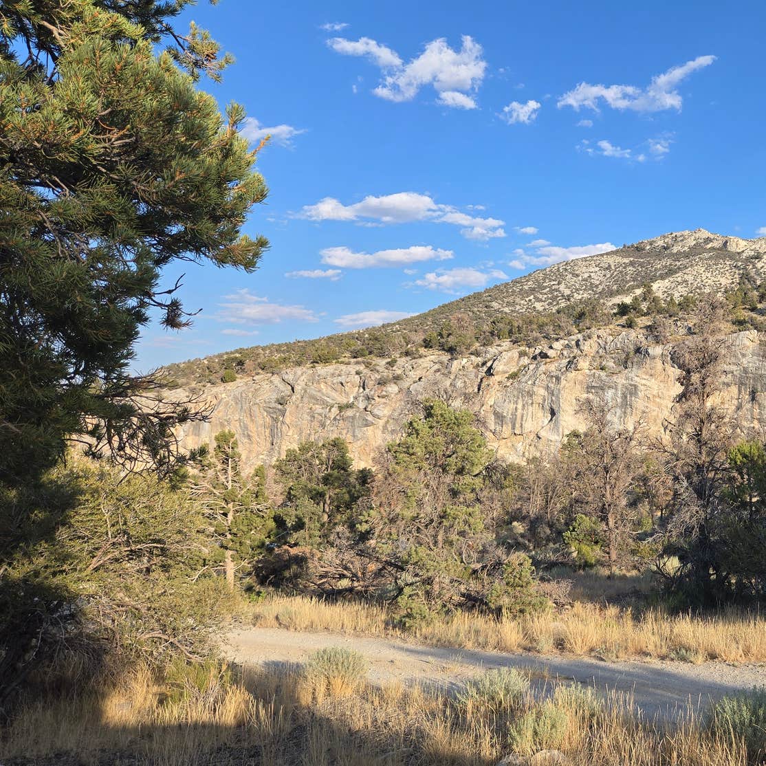 Grey Cliffs Campground — Great Basin National Park | Baker, Nevada