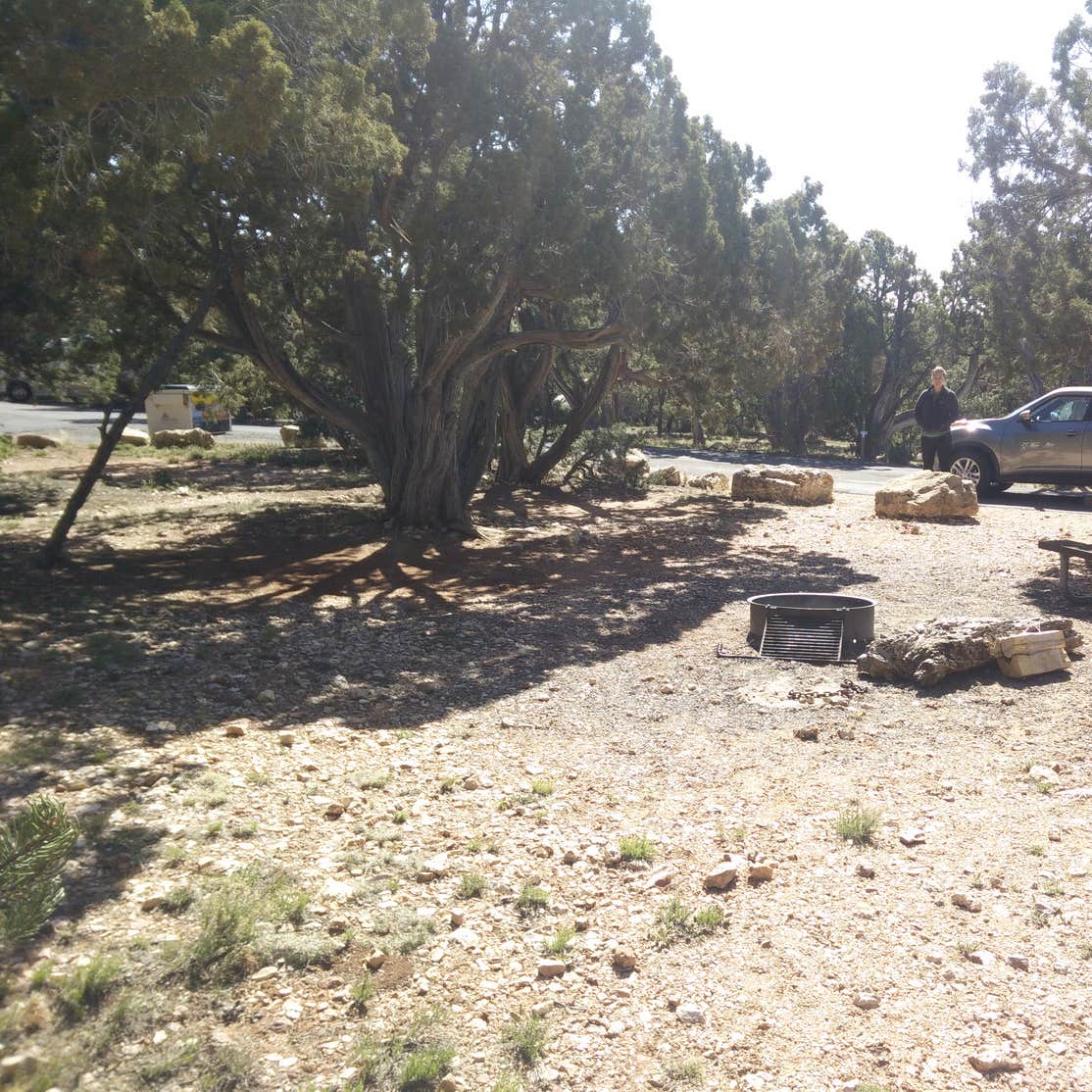 Desert View Campground Camping | The Dyrt