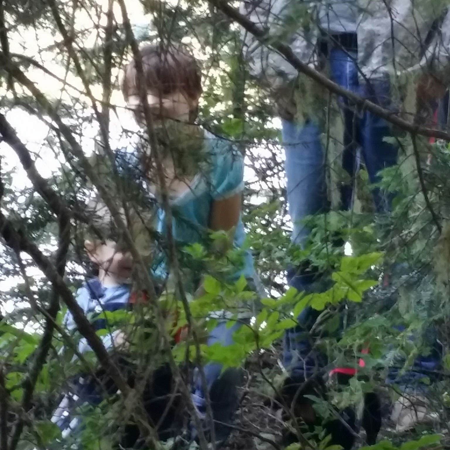 Council Lake Camping | The Dyrt