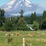 Council Lake Camping | The Dyrt