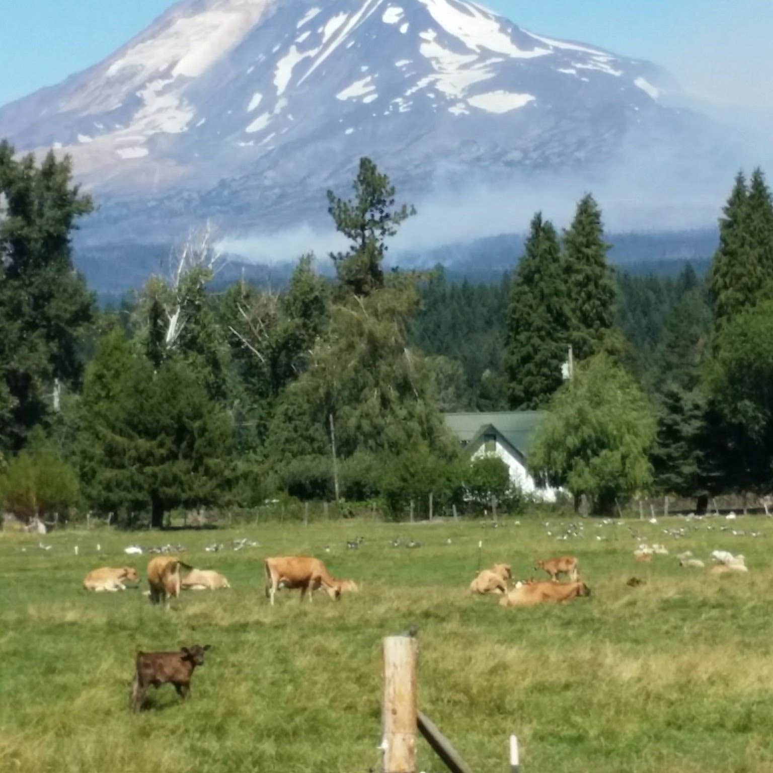 Council Lake Camping | The Dyrt