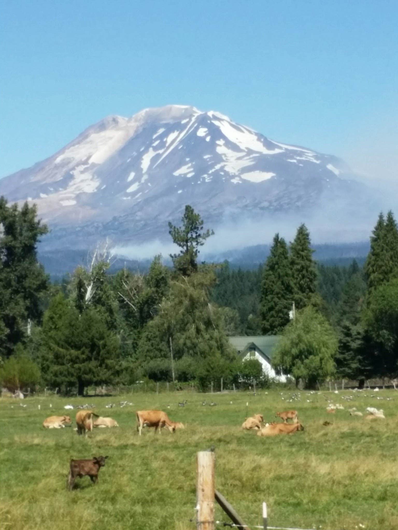 Council Lake Camping | Skamania, WA