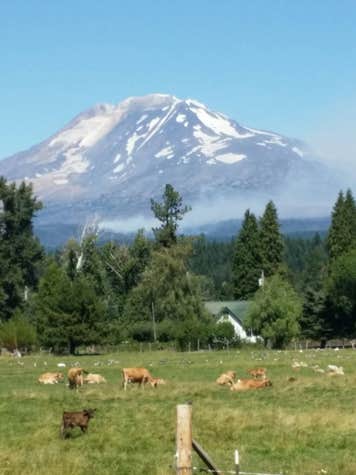 Council Lake | The Dyrt