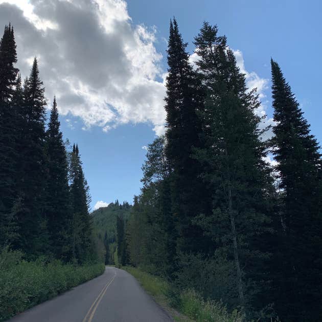 Tony Grove Lake Camping | Cache, UT