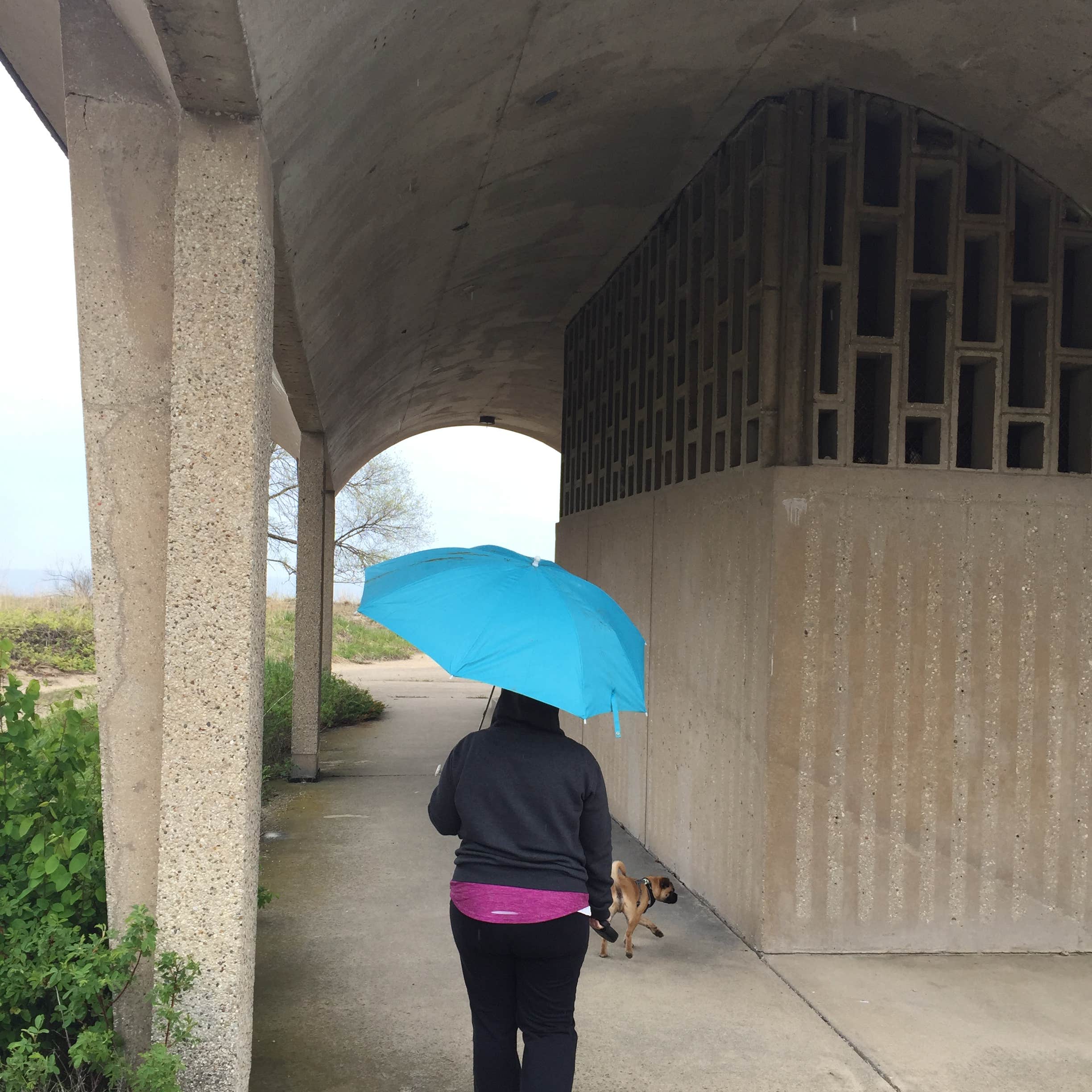 Illinois Beach State Park Camping | The Dyrt