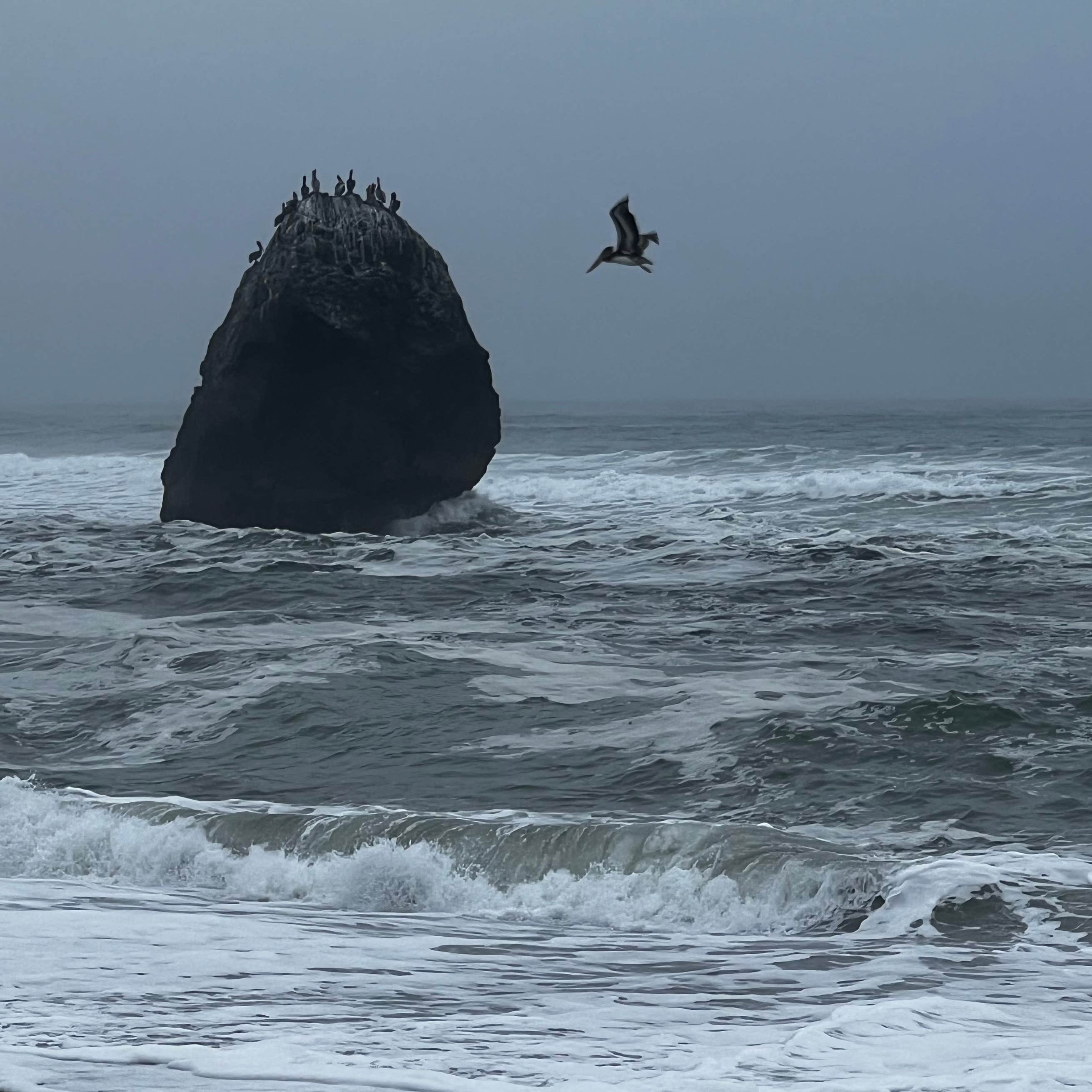 Turtle Rock RV Resort | Gold Beach, Oregon