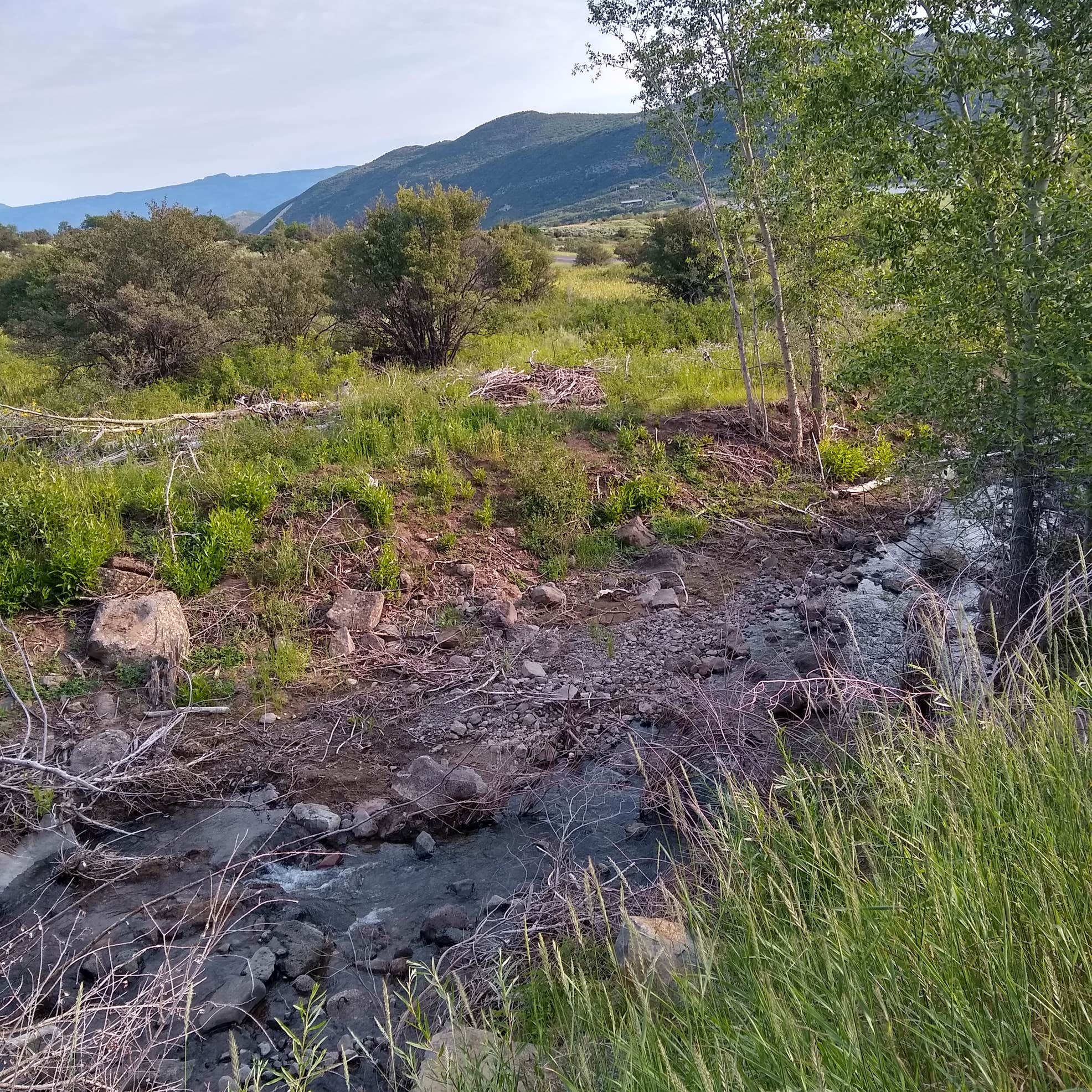 Pioneer - Vega State Park Camping | The Dyrt