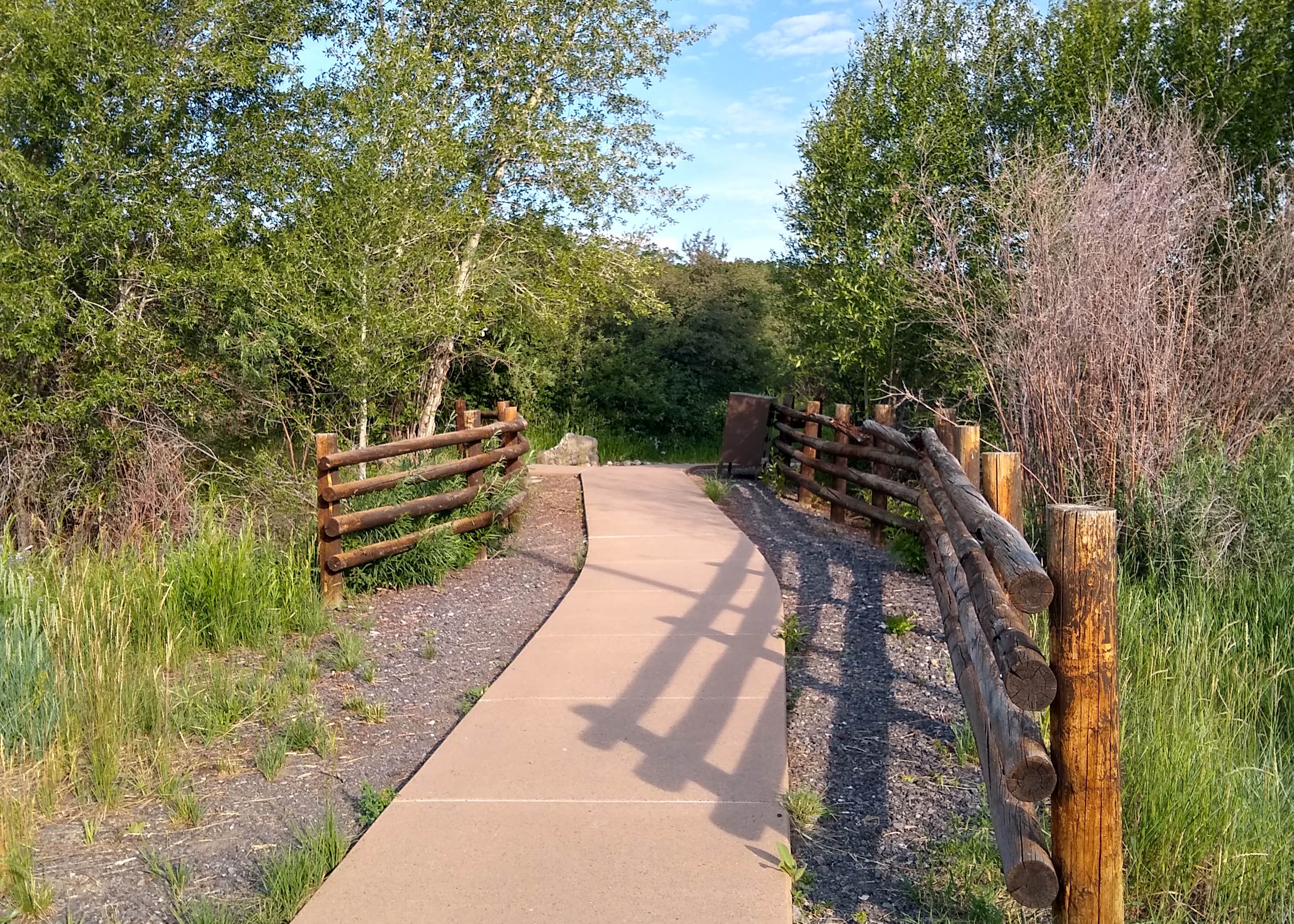 Pioneer - Vega State Park Camping | The Dyrt