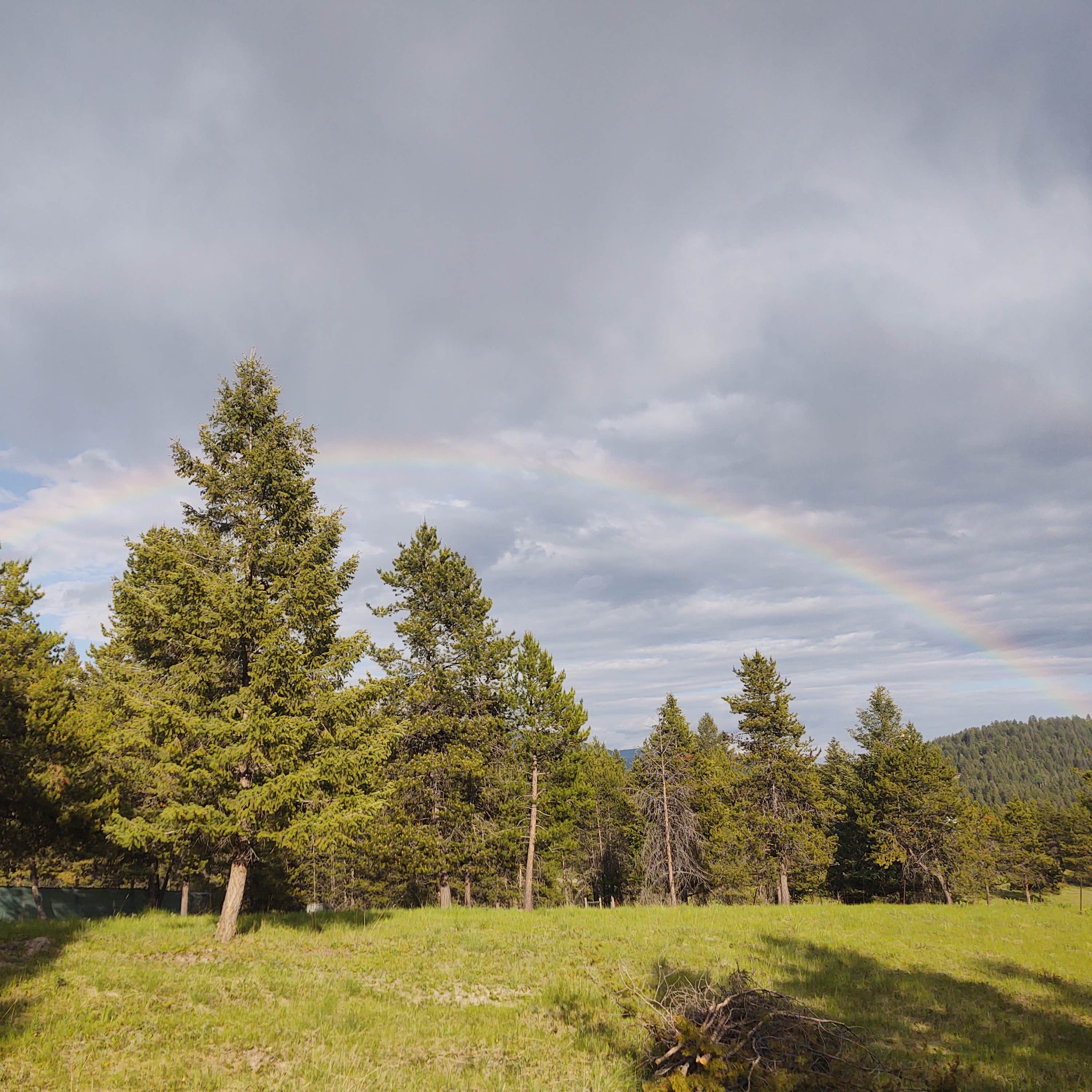 Heritage Cabin Property | Fortine, Montana