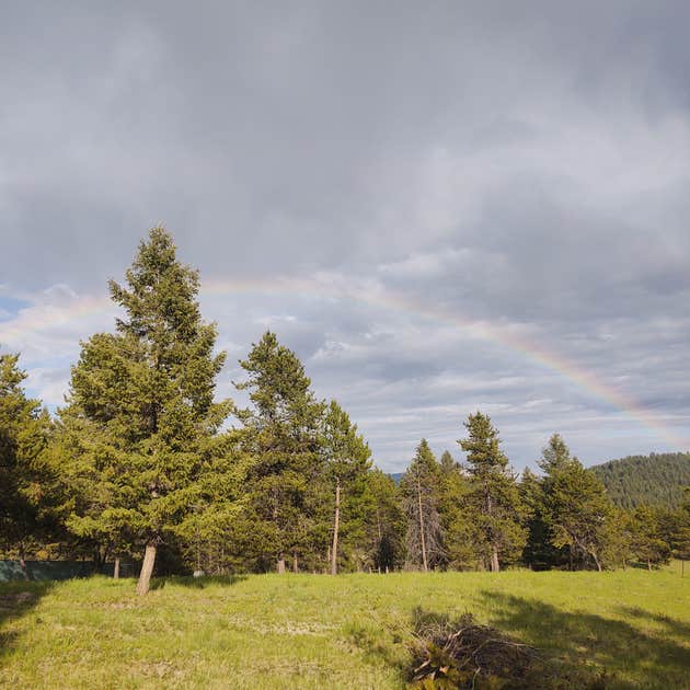 Heritage Cabin Property | Fortine, Montana
