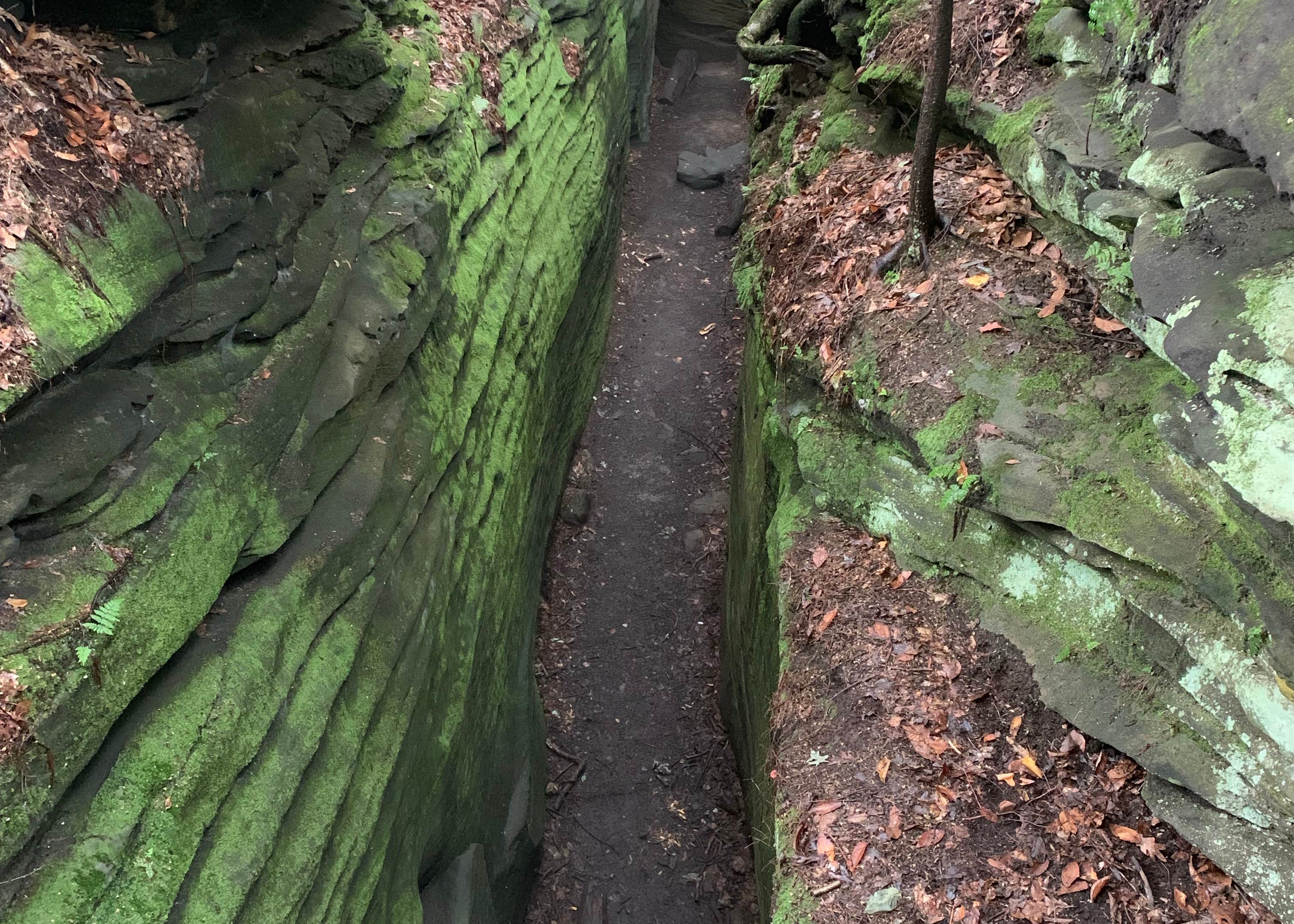 Nelson-Kennedy Ledges Quarry Park Camping | The Dyrt