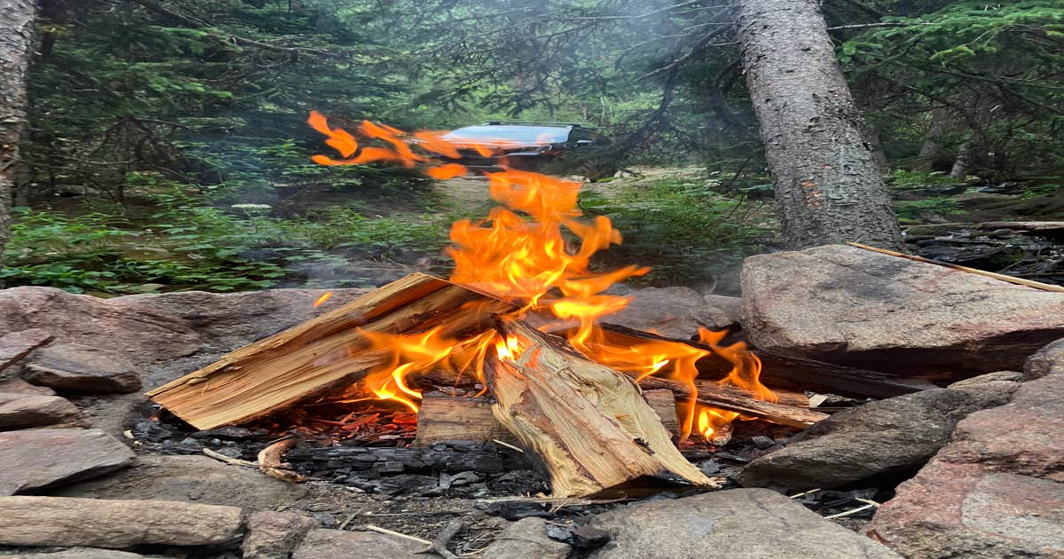 Allenspark Dispersed Camping | Allenspark, Colorado