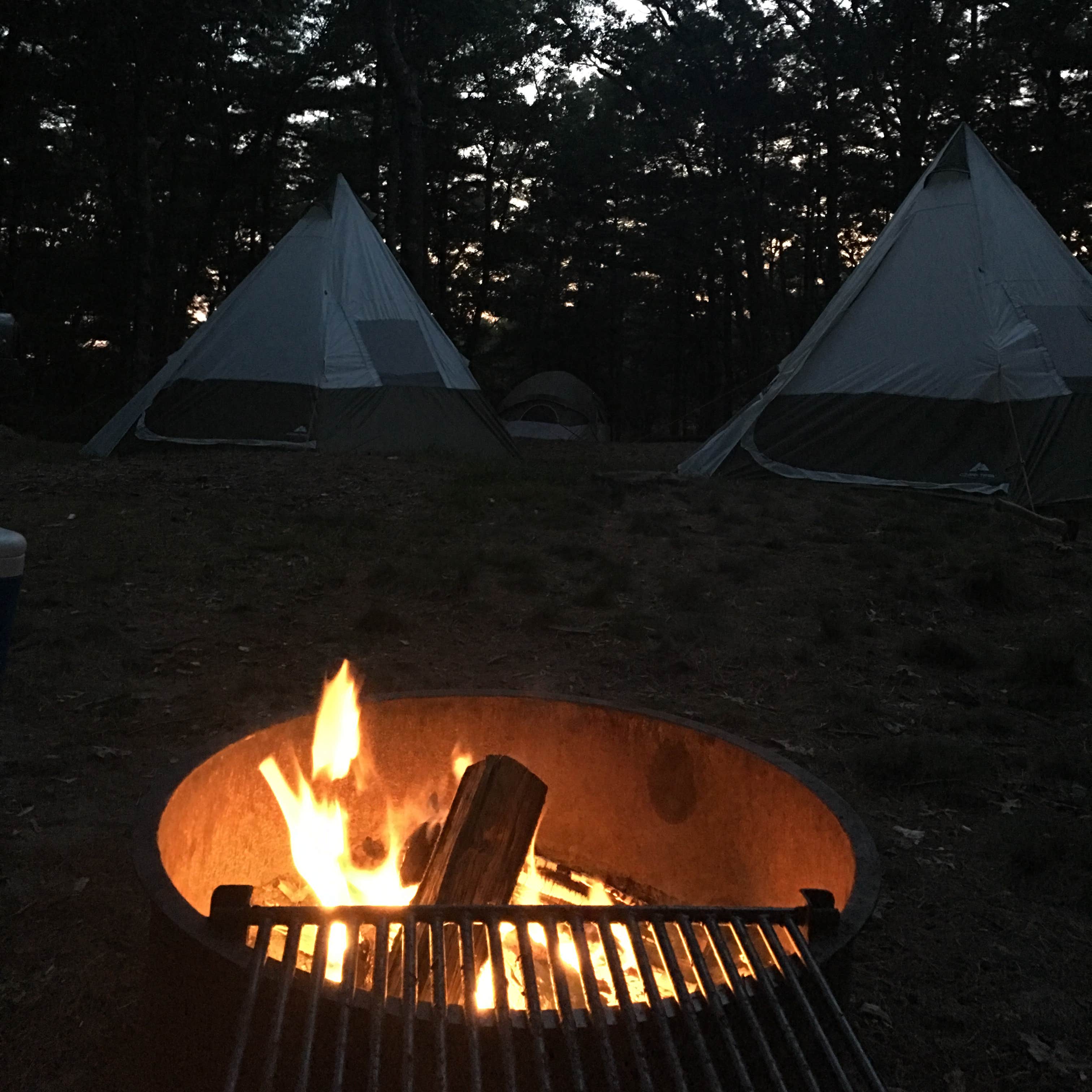 Massasoit State Park Camping | The Dyrt