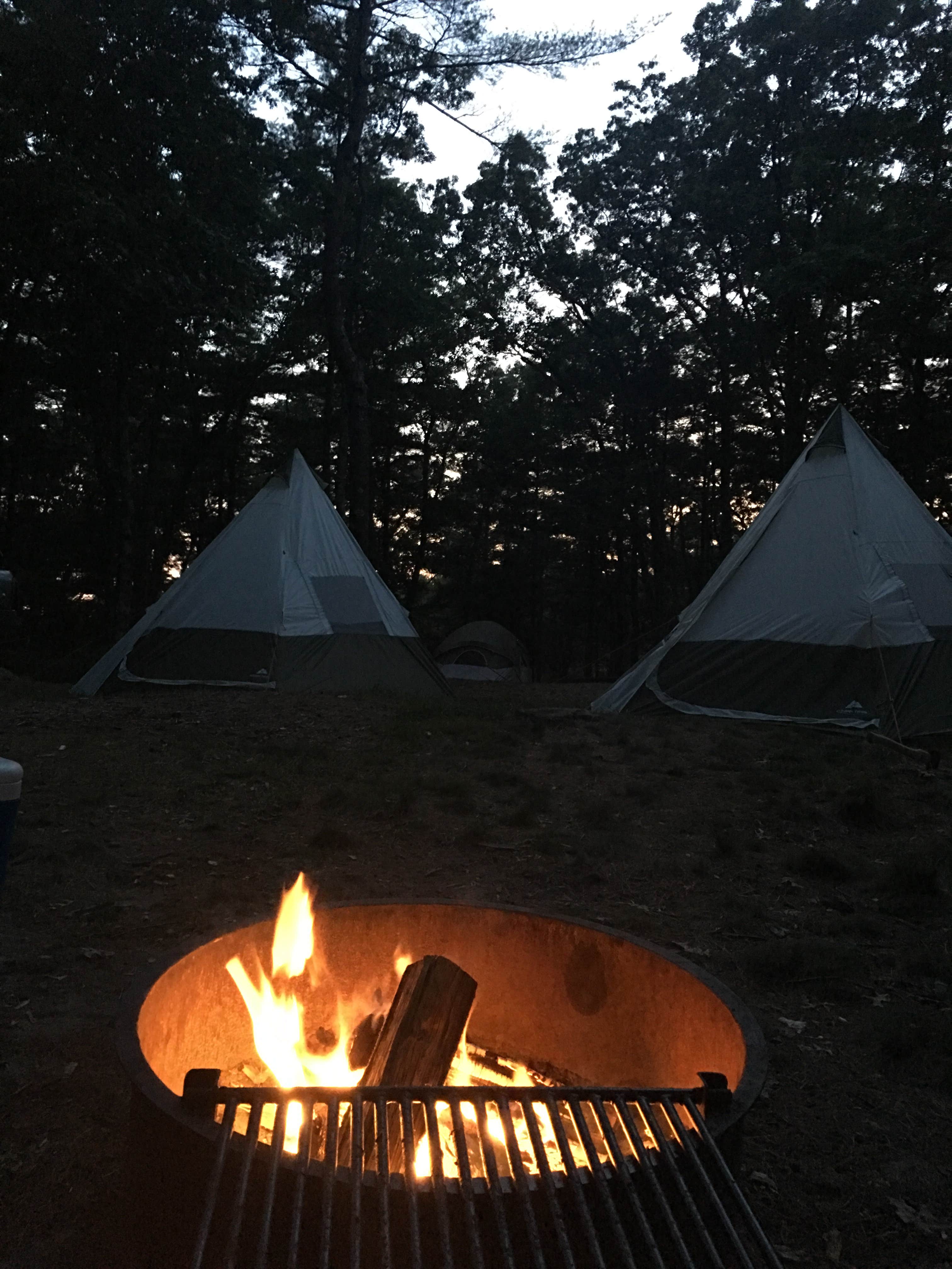 Massasoit State Park Campground | Lakeville, Massachusetts
