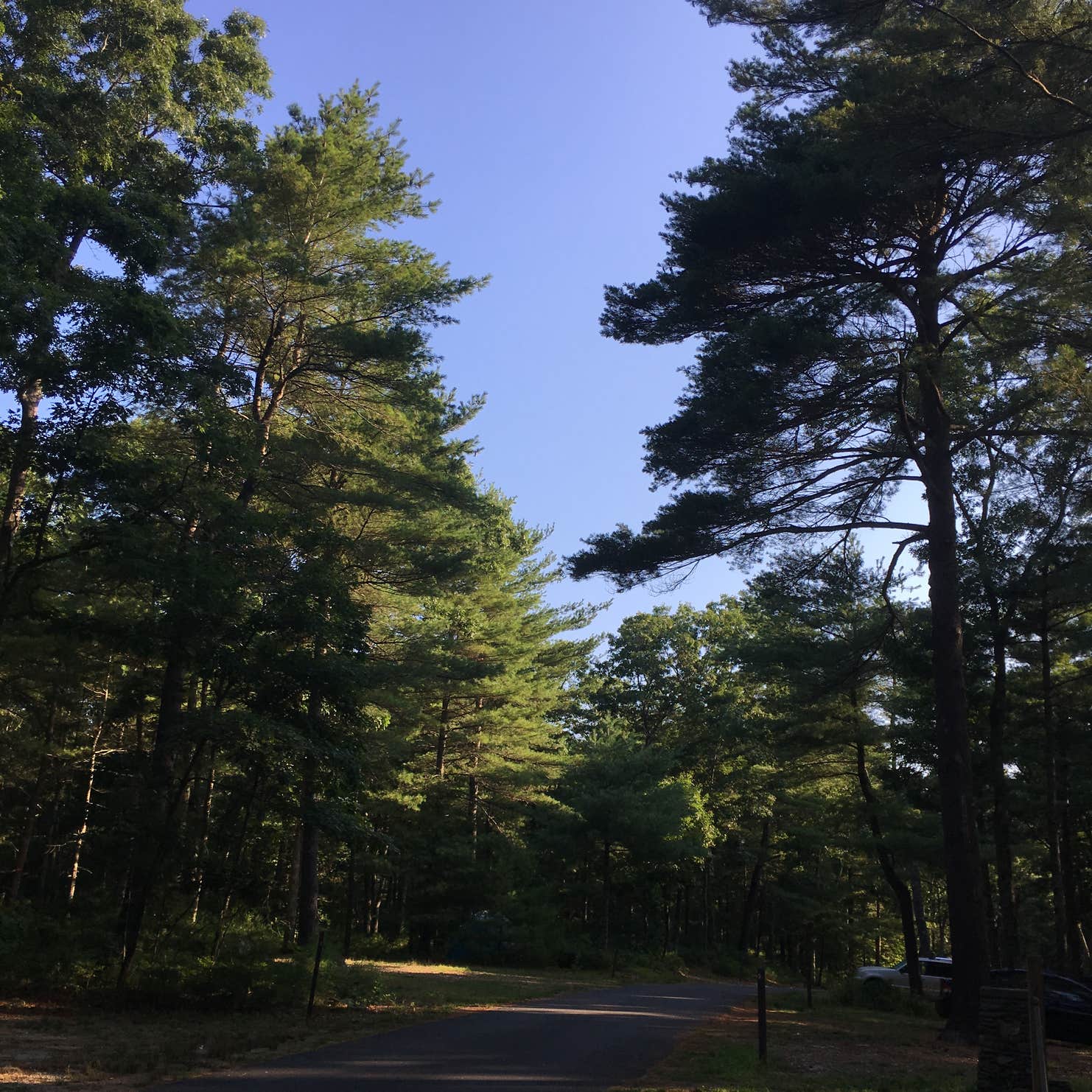 Massasoit State Park Camping | The Dyrt