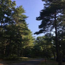 Massasoit State Park Camping | The Dyrt