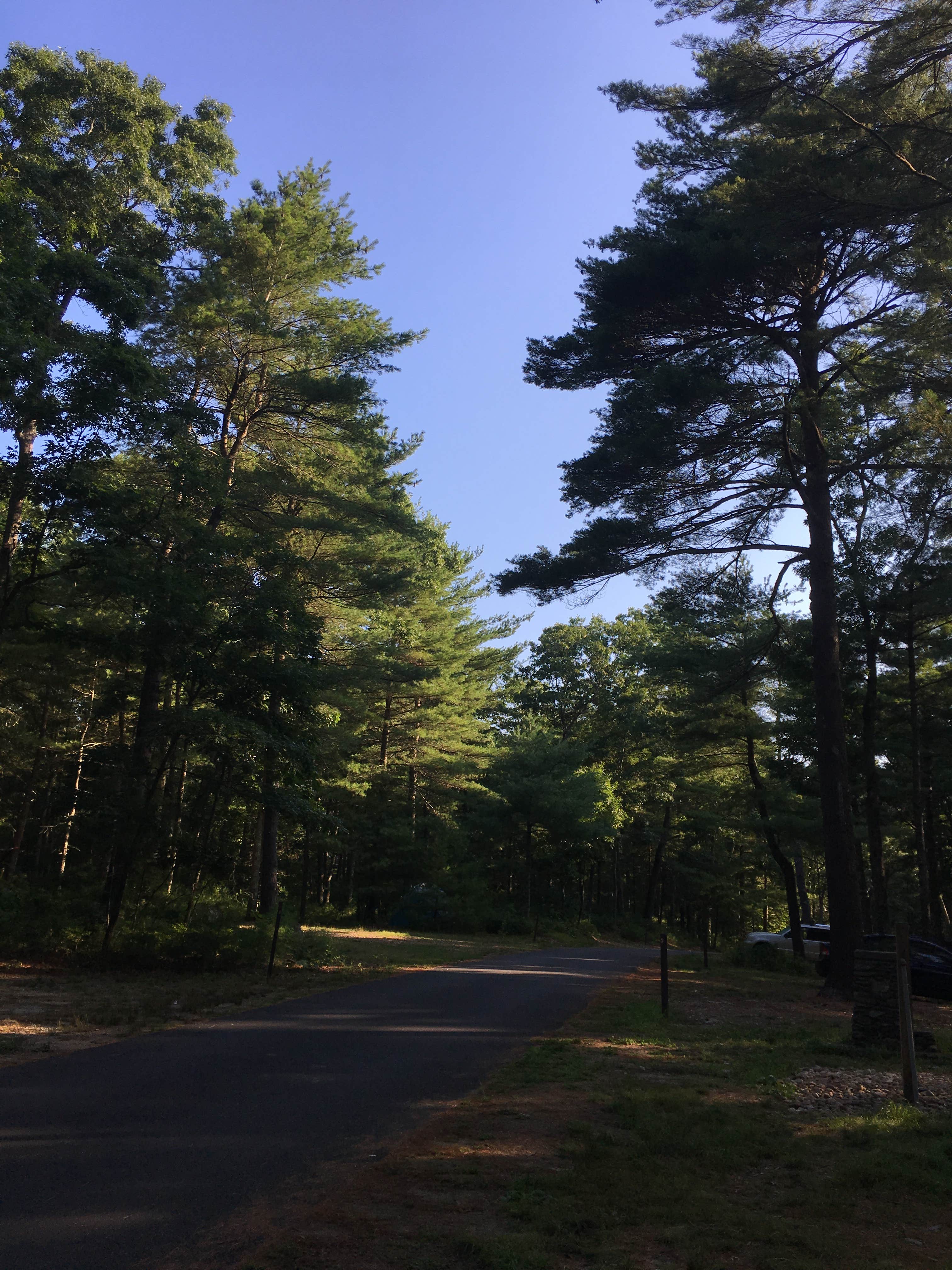 Massasoit State Park Campground | Lakeville, Massachusetts