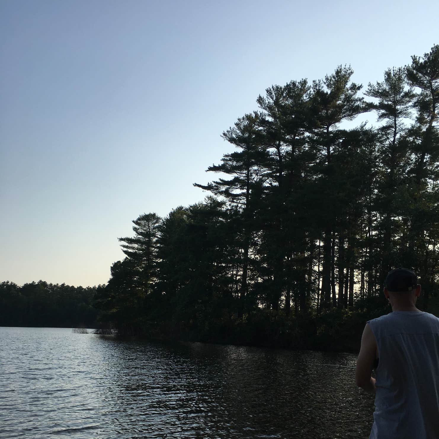 Massasoit State Park Camping | The Dyrt