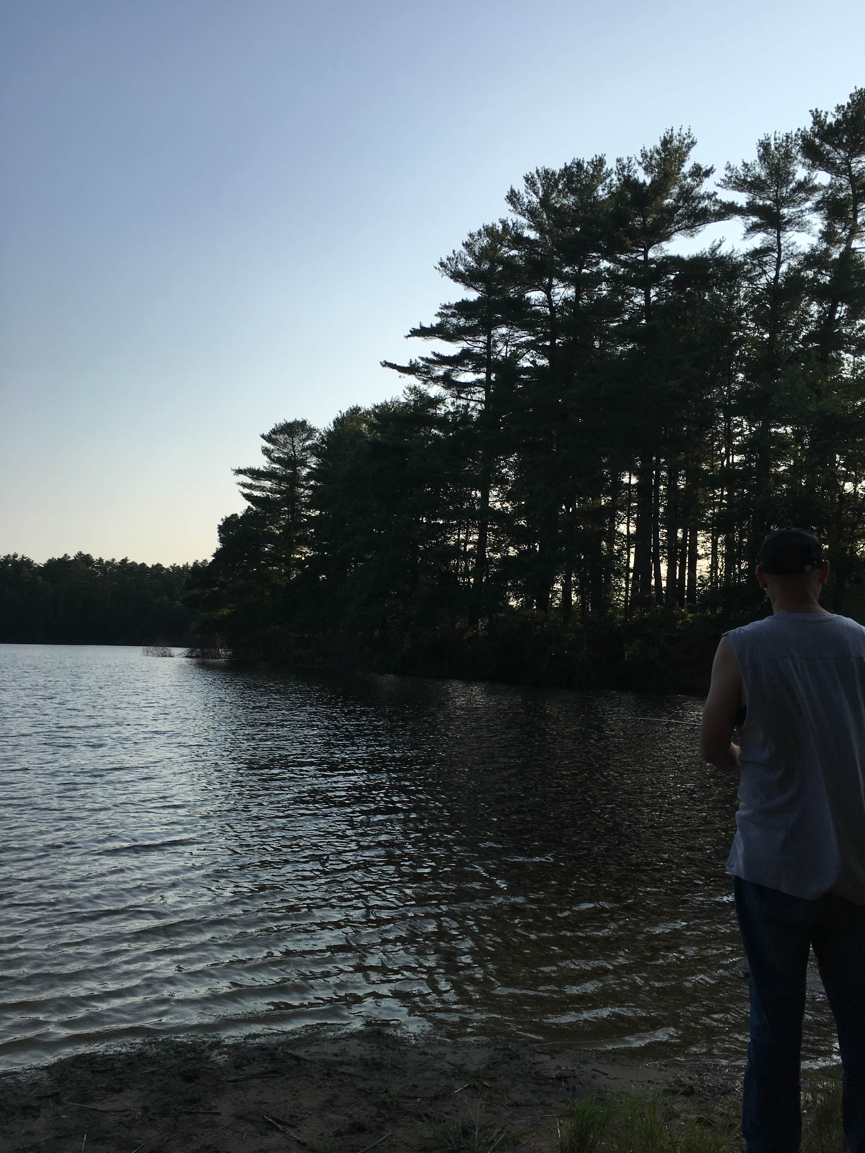 Massasoit State Park Campground | Taunton, MA