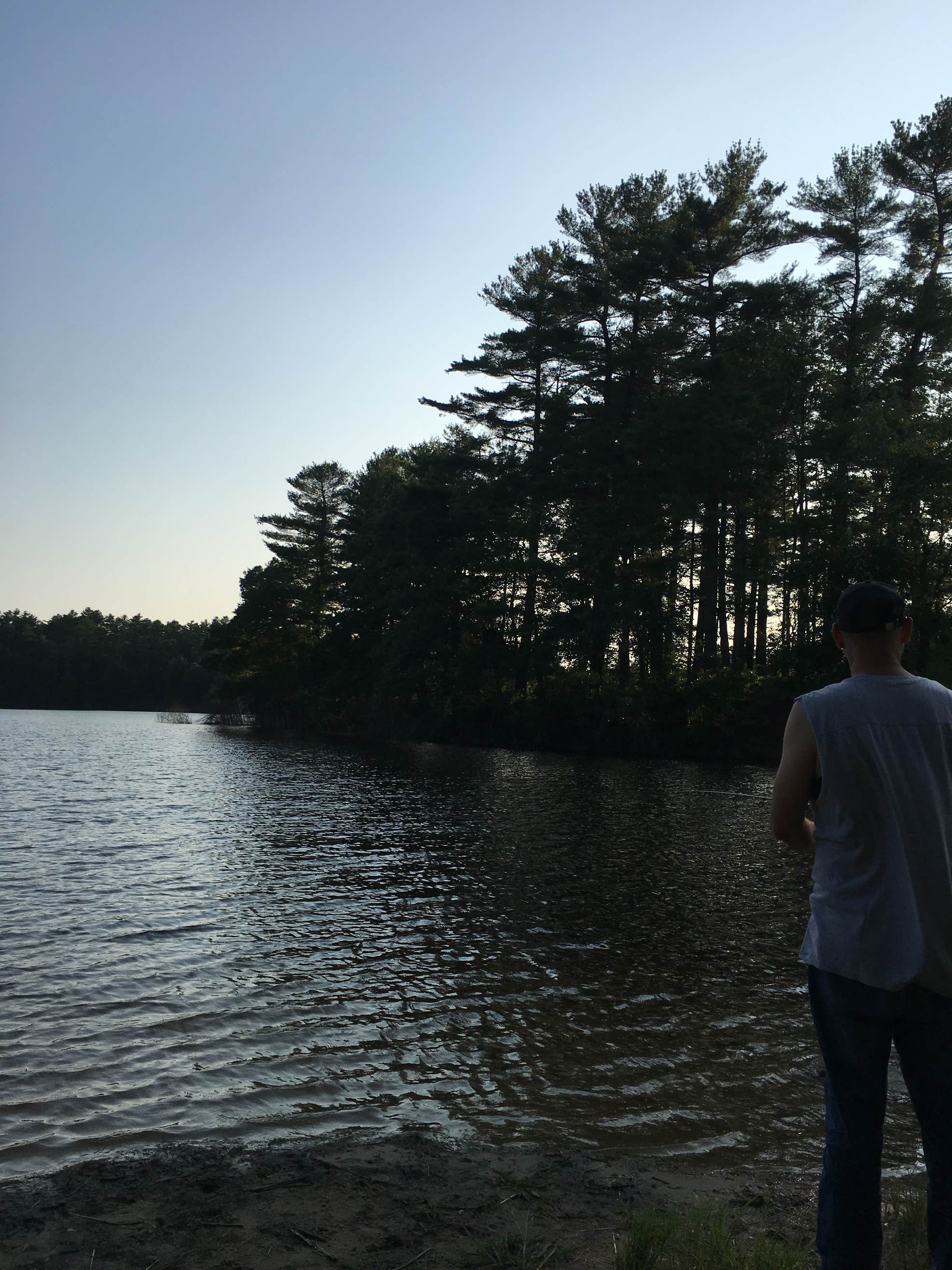 Massasoit State Park Camping | The Dyrt