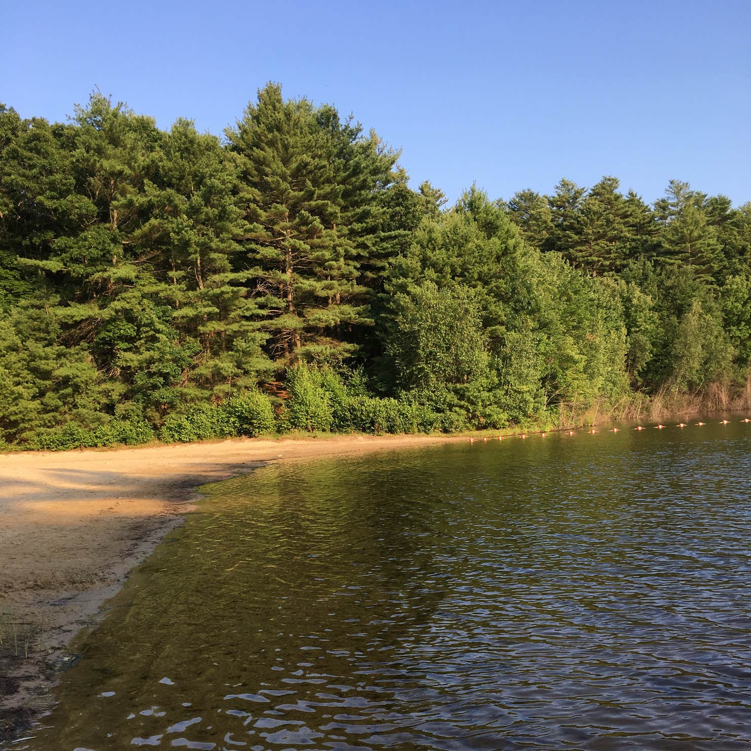 Massasoit State Park Camping | The Dyrt