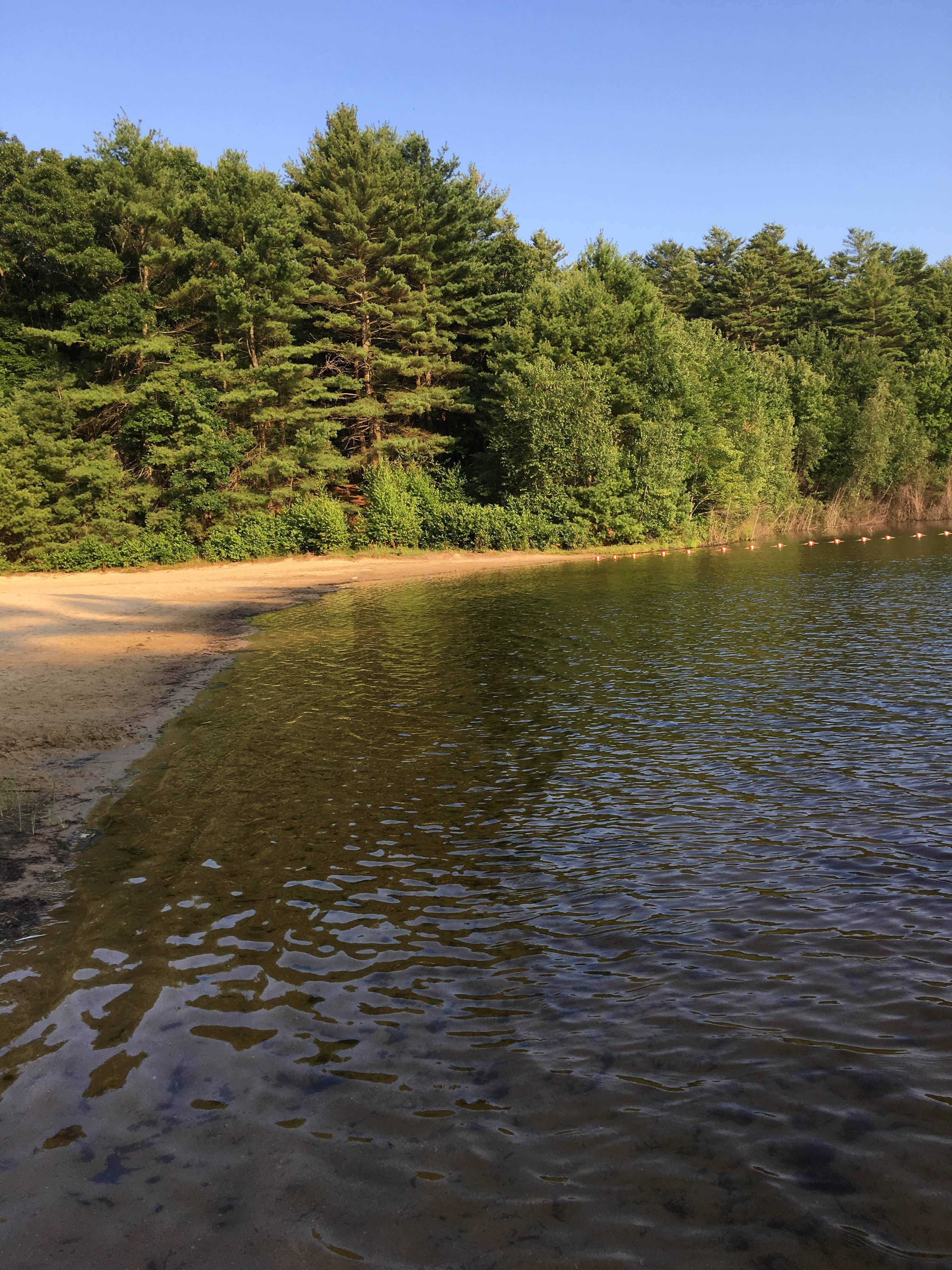 Massasoit State Park Campground | Lakeville, Massachusetts