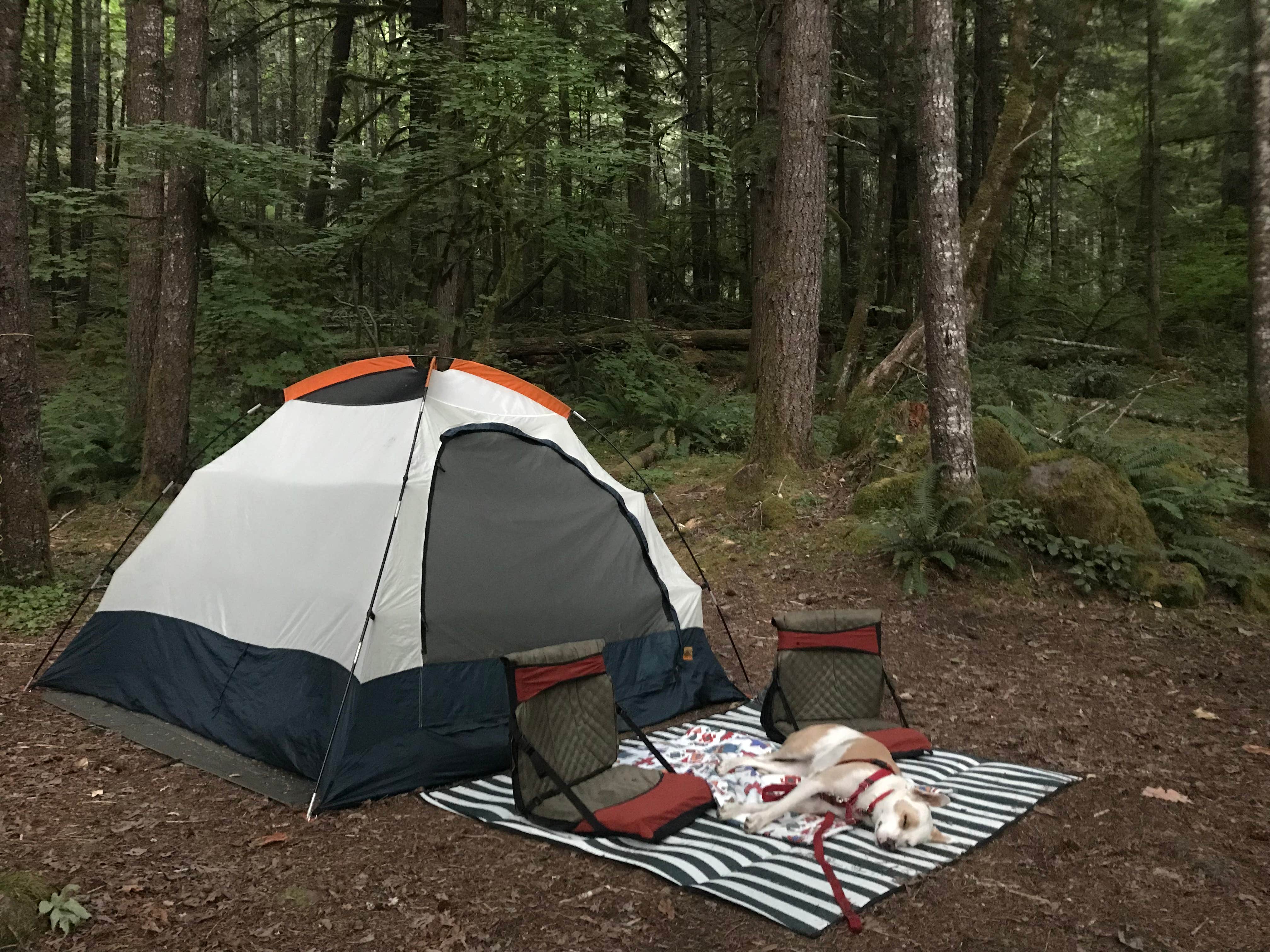 Sunnyside Campground | Blue river, OR