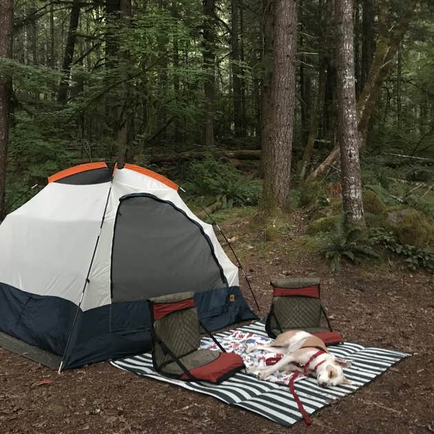 Sunnyside Campground | Mckenzie Bridge, Oregon