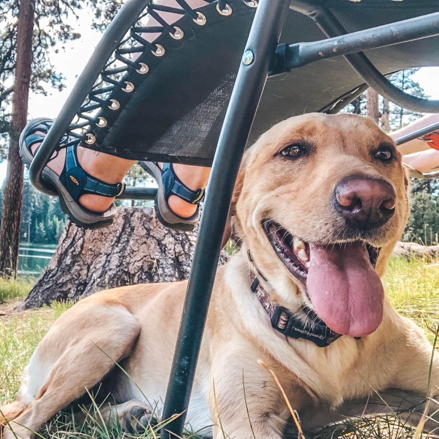 Walton Lake Camping | Prineville, OR