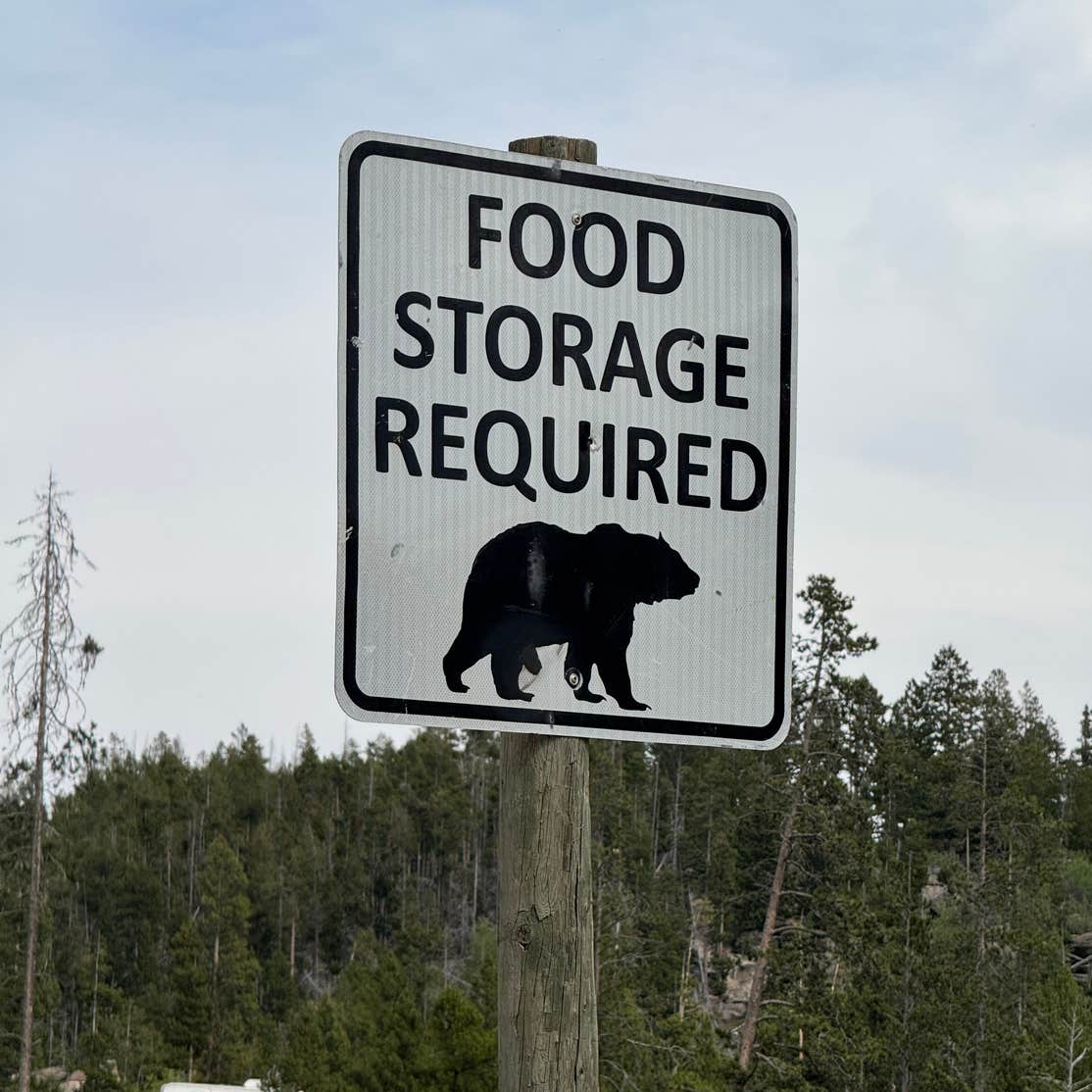 Homestake Pass Dispersed Camping | Butte, Montana