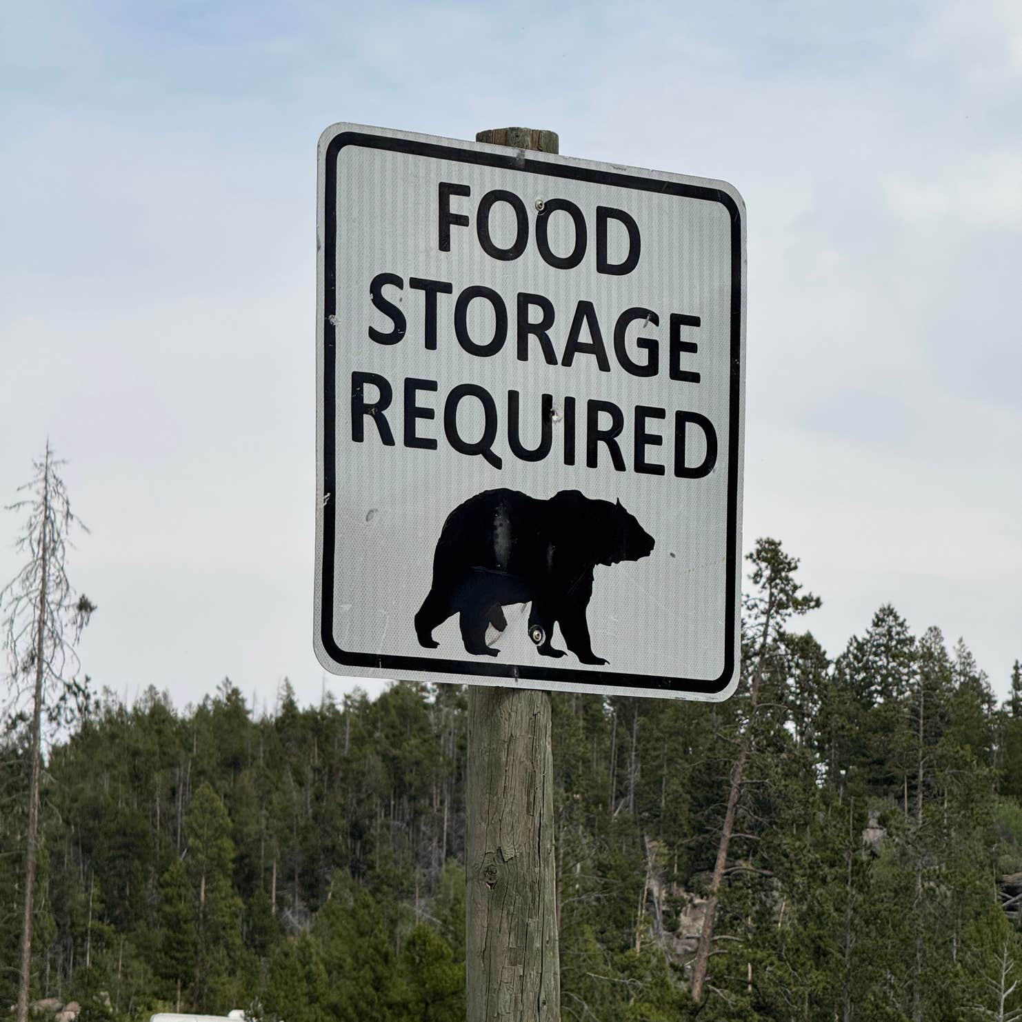 Homestake Pass Dispersed Camping | Butte, Montana