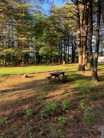 Thomas Point Beach and Campground Camping | The Dyrt