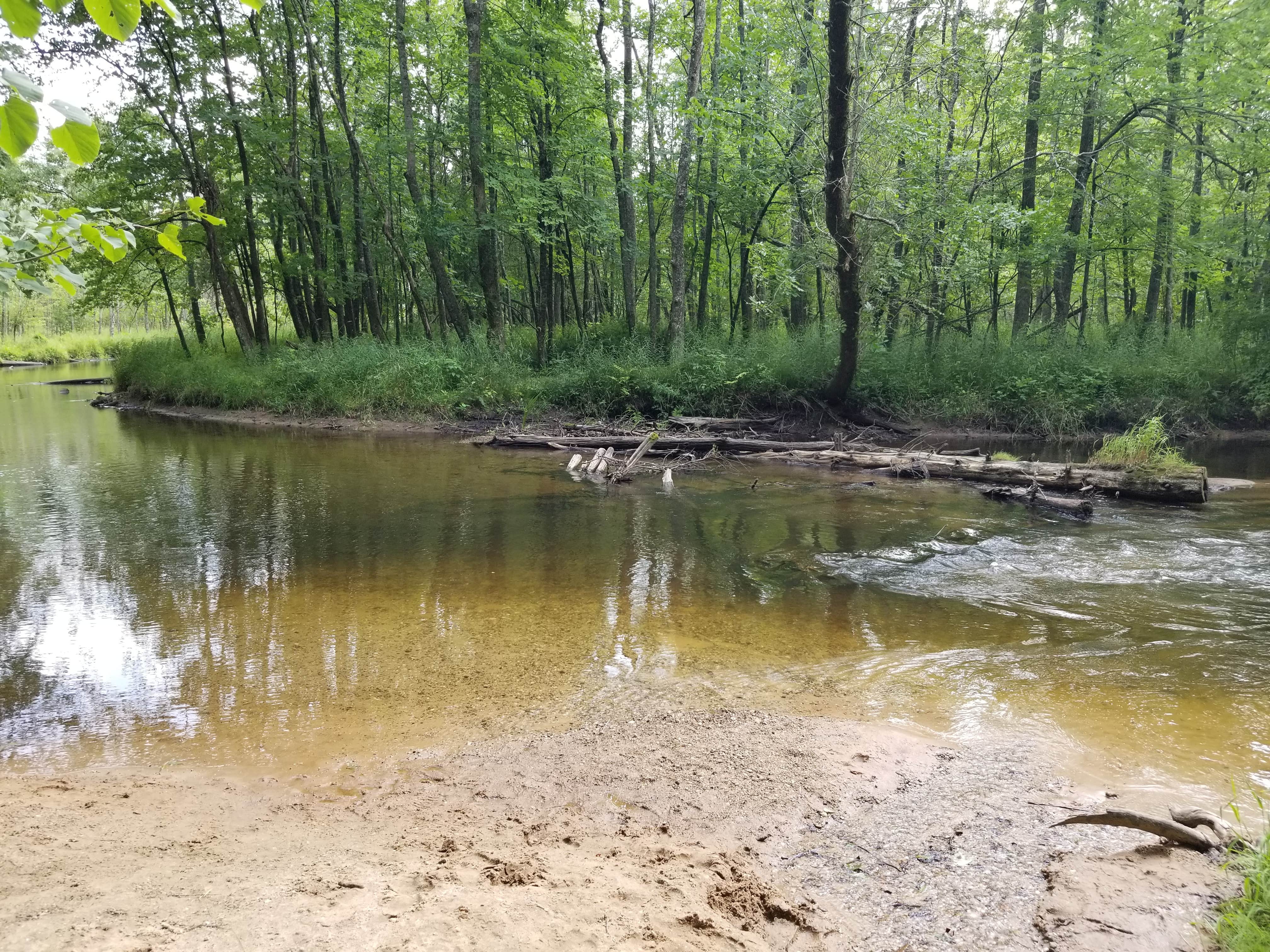 White Cloud County Park Camping | White Cloud, MI